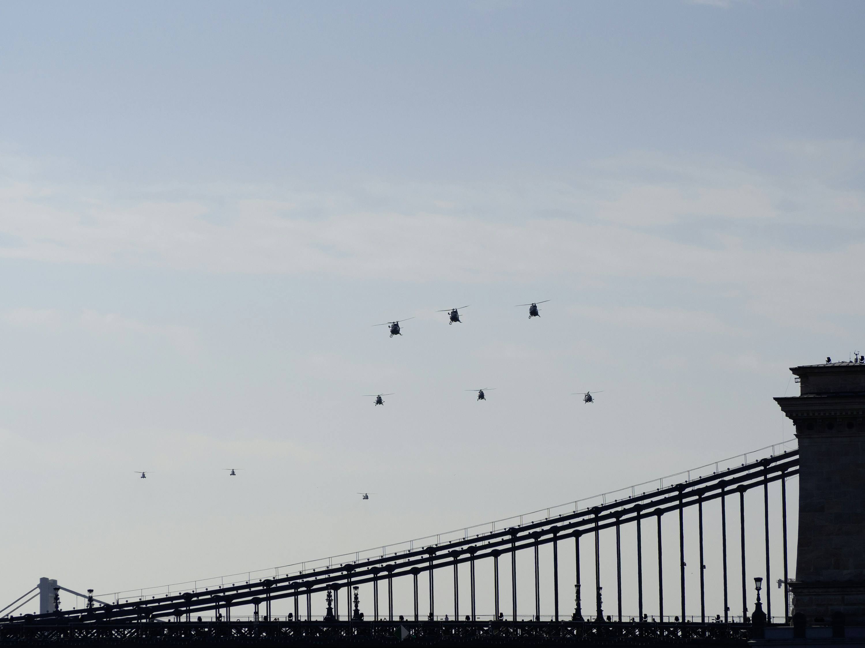 V-Bridge in Silence: A flock over the urban span