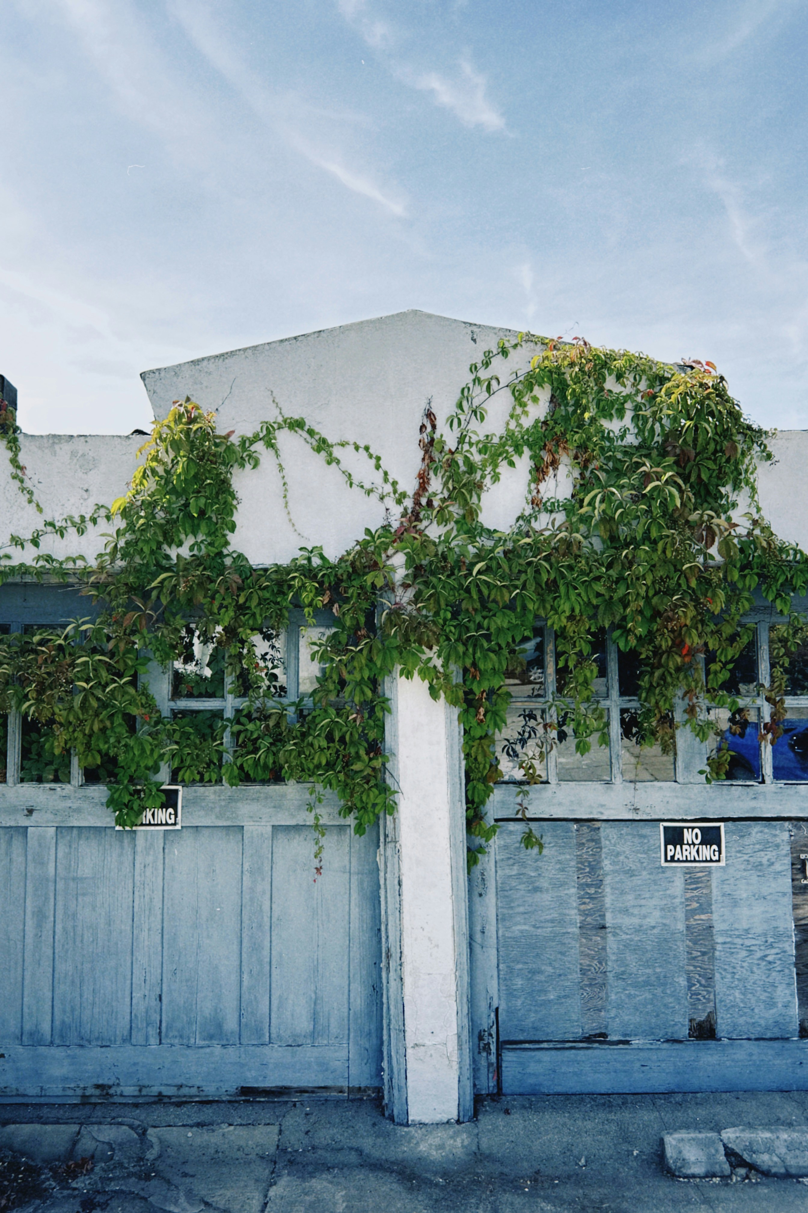 Vines Claim an Abandoned Garage