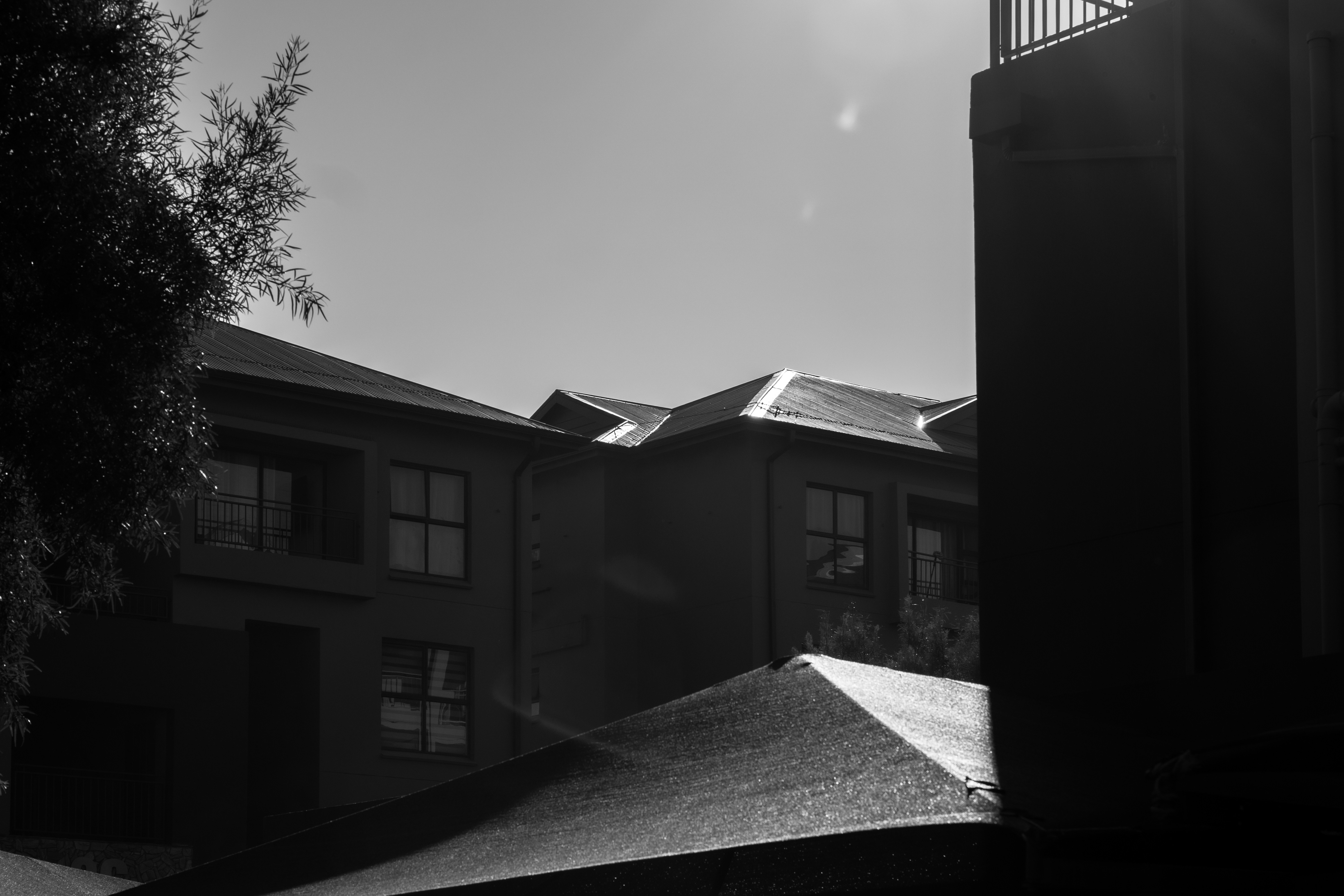 Sunlit Rooflines: A Quiet Urban Silhouette
