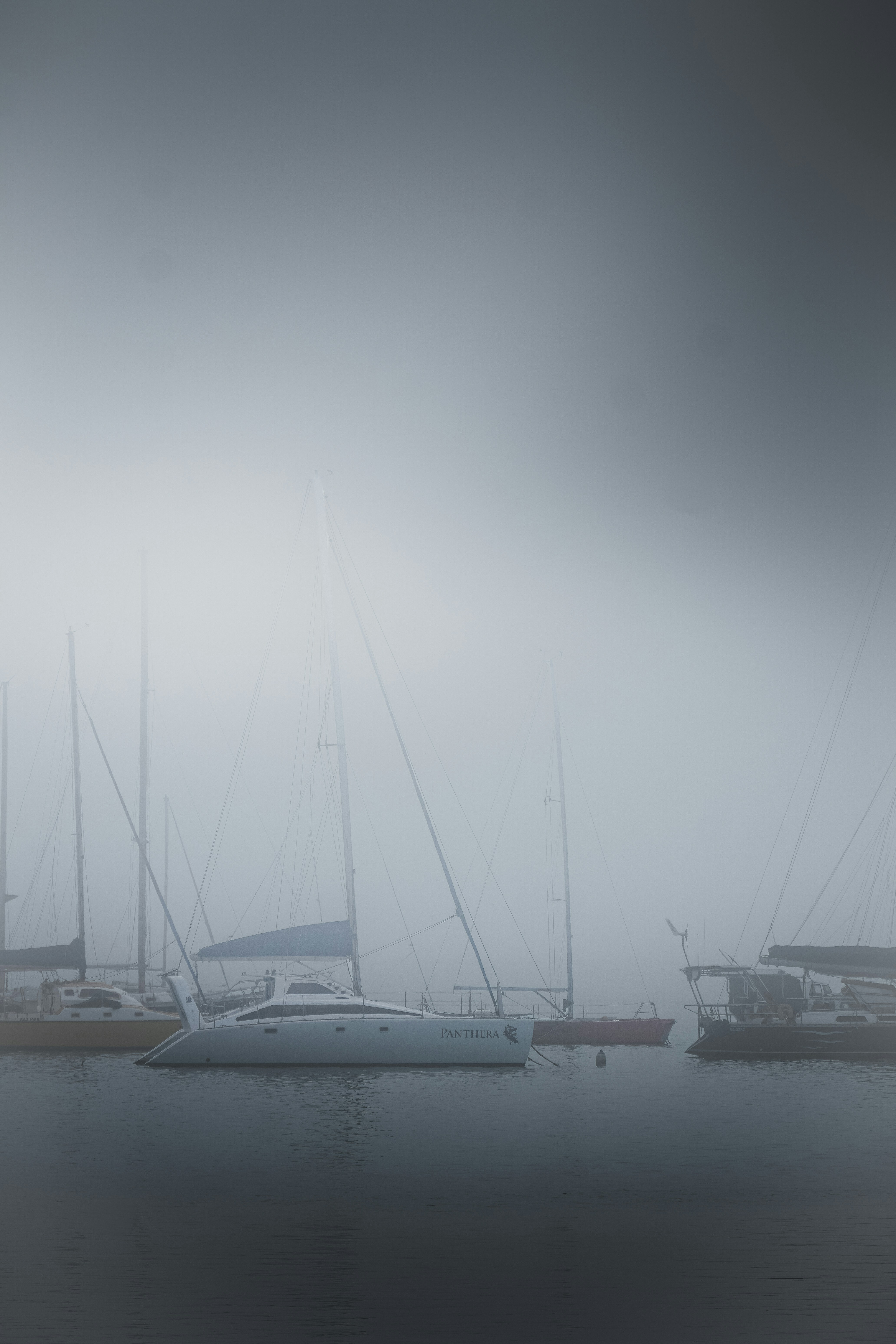 Misty Marina: Boats Quietly Embrace the Quiet Sea