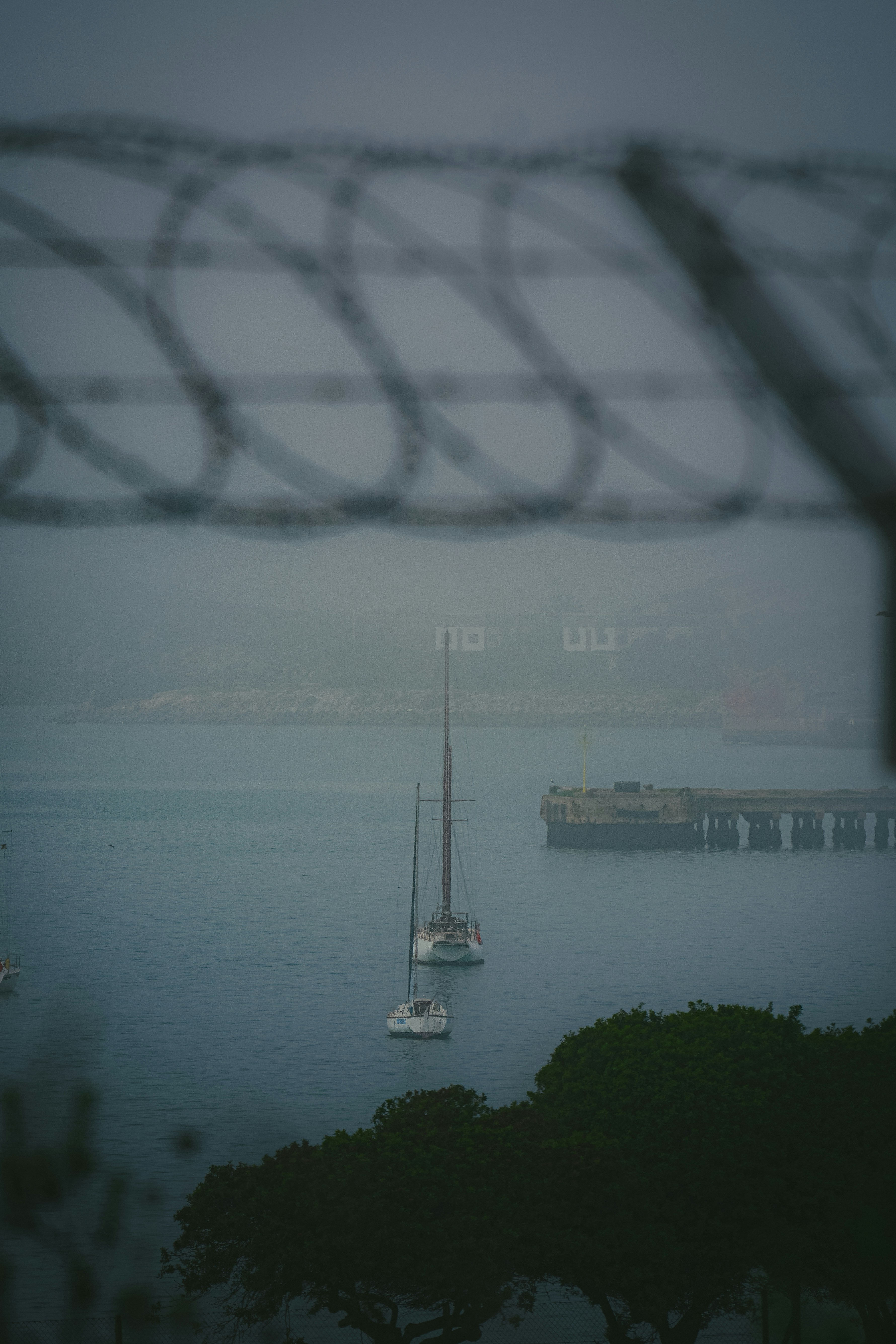Muted Horizon Harbor: Sailboats Rest Under Barbed Silence