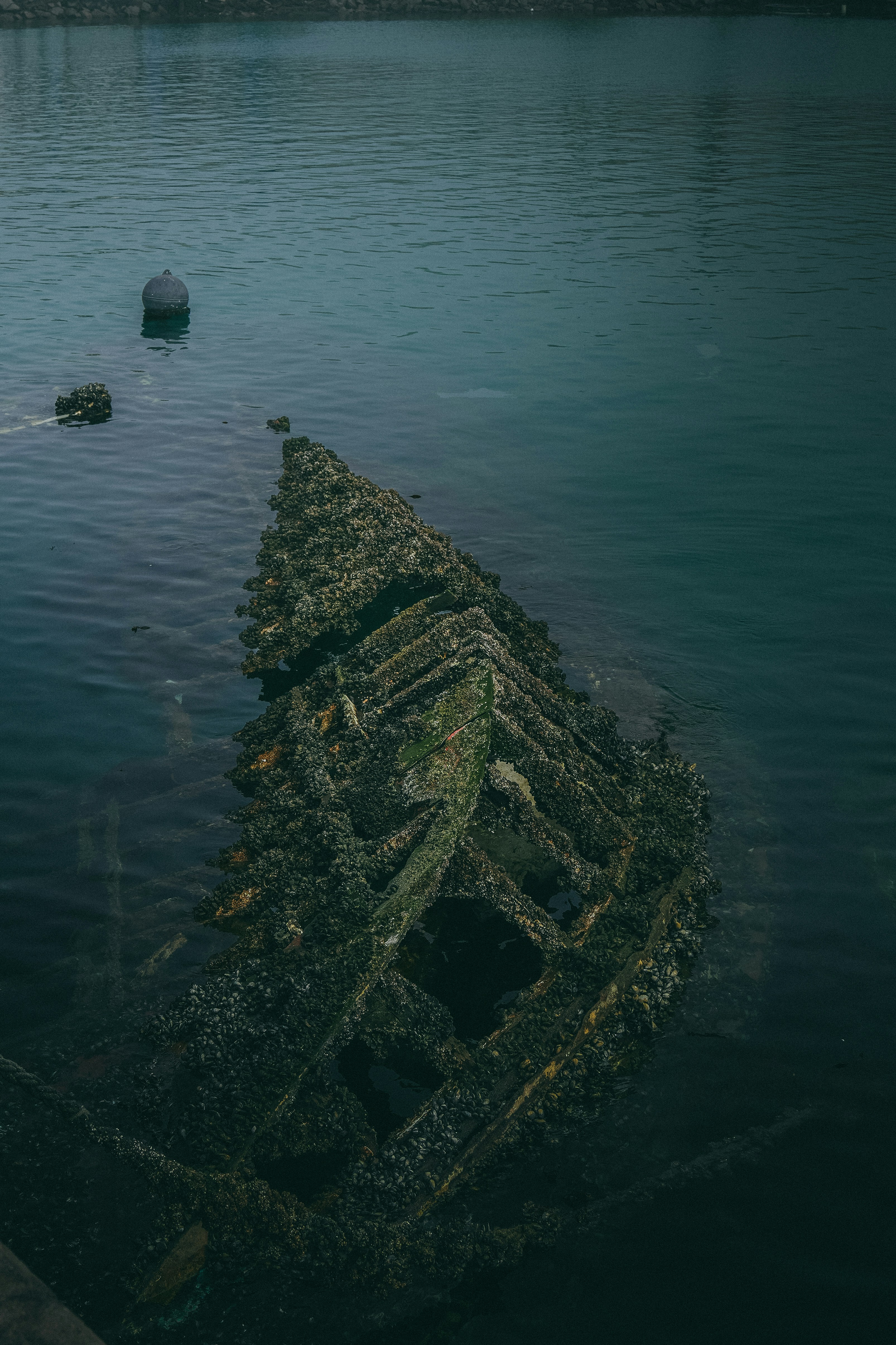 Rusted Shipwreck Soaked in Quiet Sea Echoes