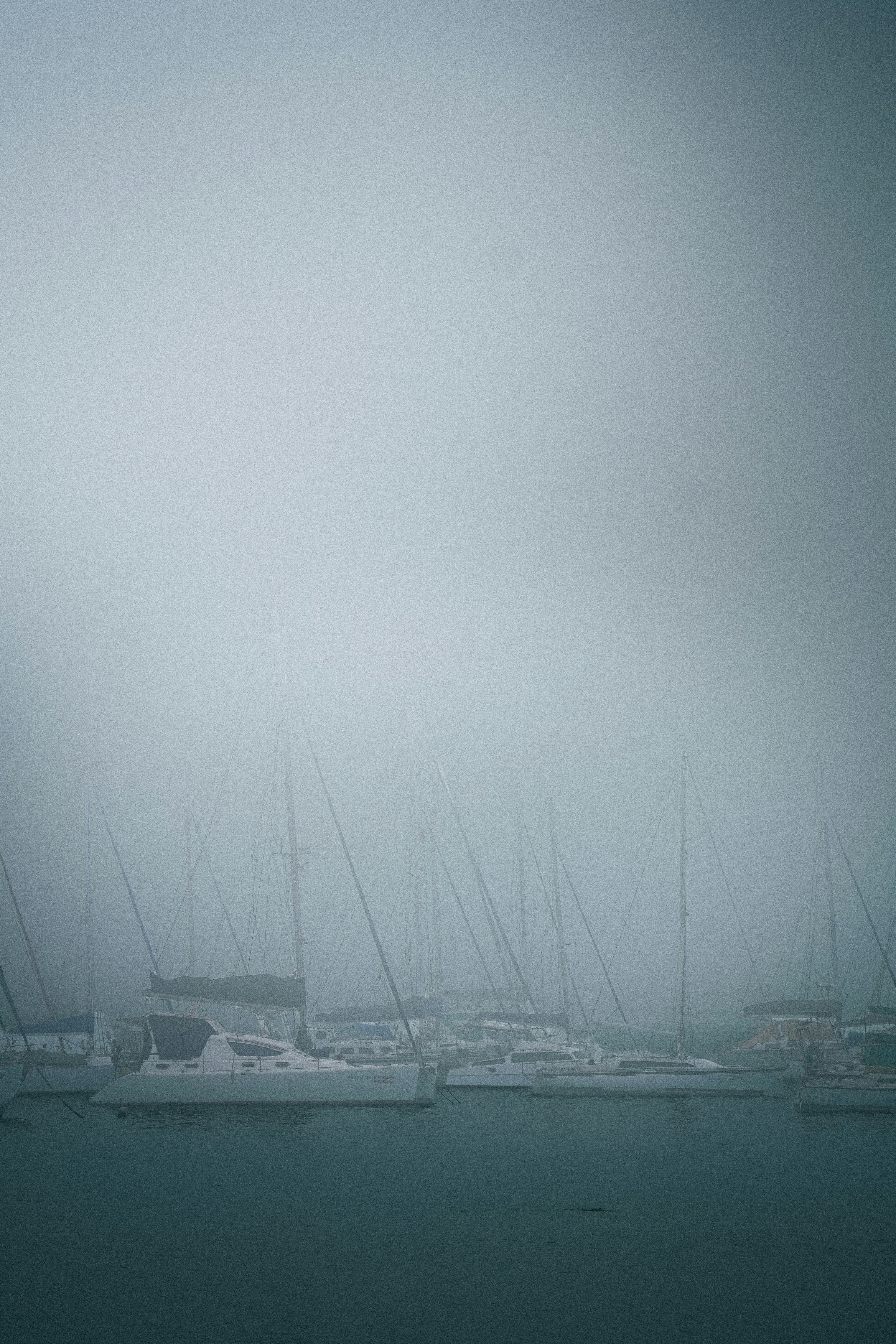 Silhouetted Sailboats Emerged from Dense Fog at Dock