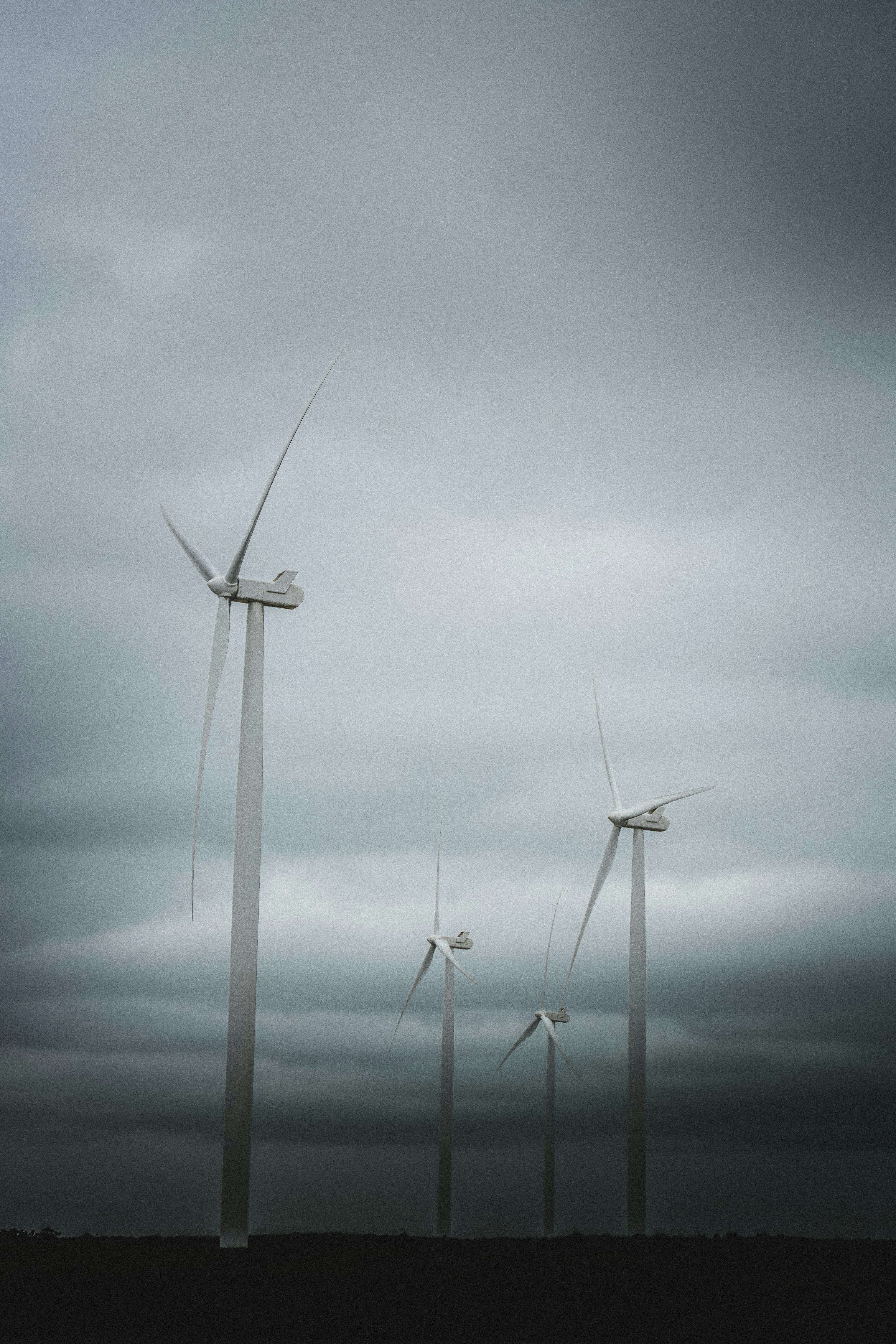 Whispering Giants: A Field of Wind