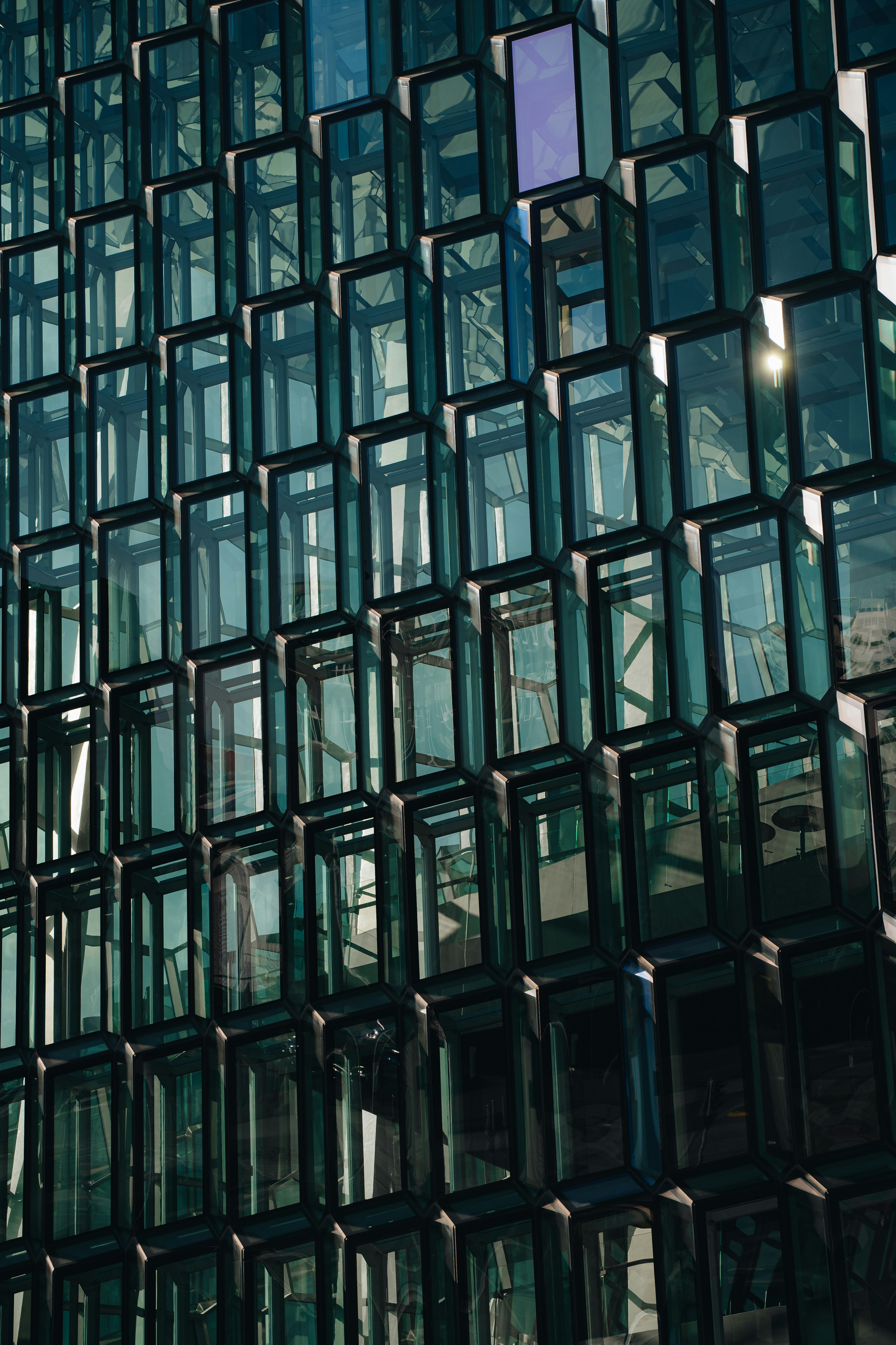 A Grid of Glass: Faceted Reflections on a Modern Facade