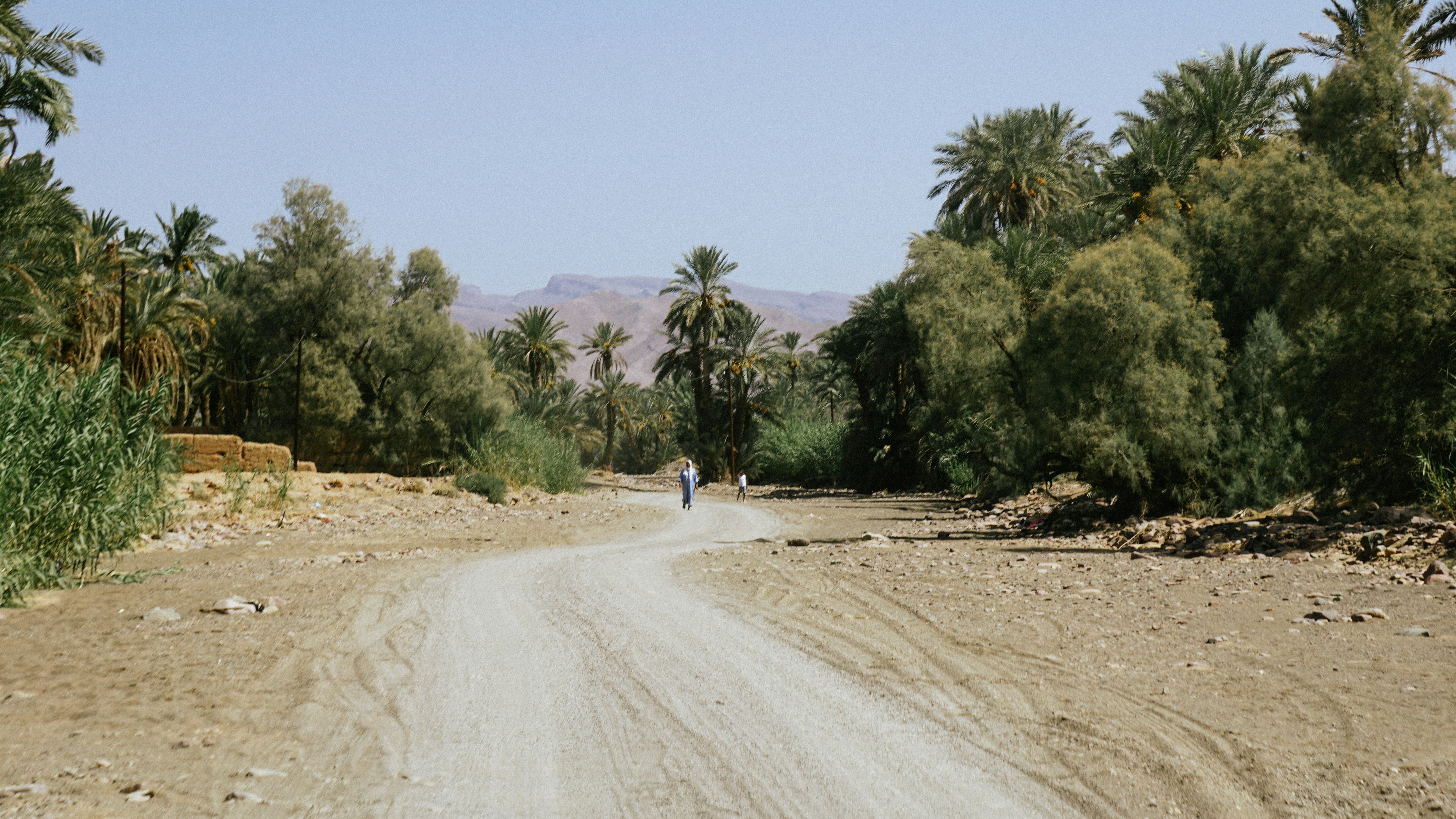 Dusty Dawn Run: a lone traveler on a dirt river of sand