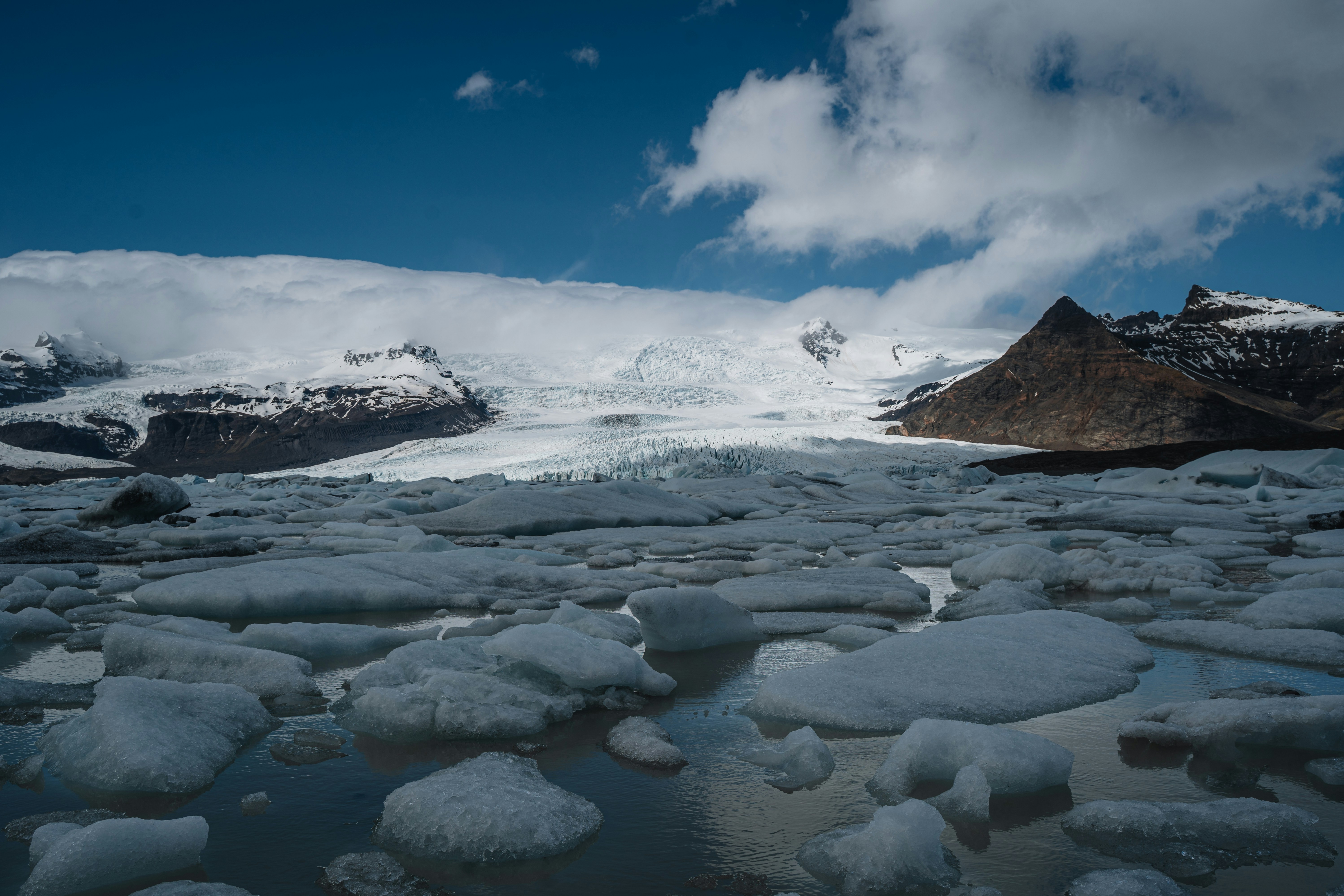 Glacial Dawn: Ice Floes Carved by Light
