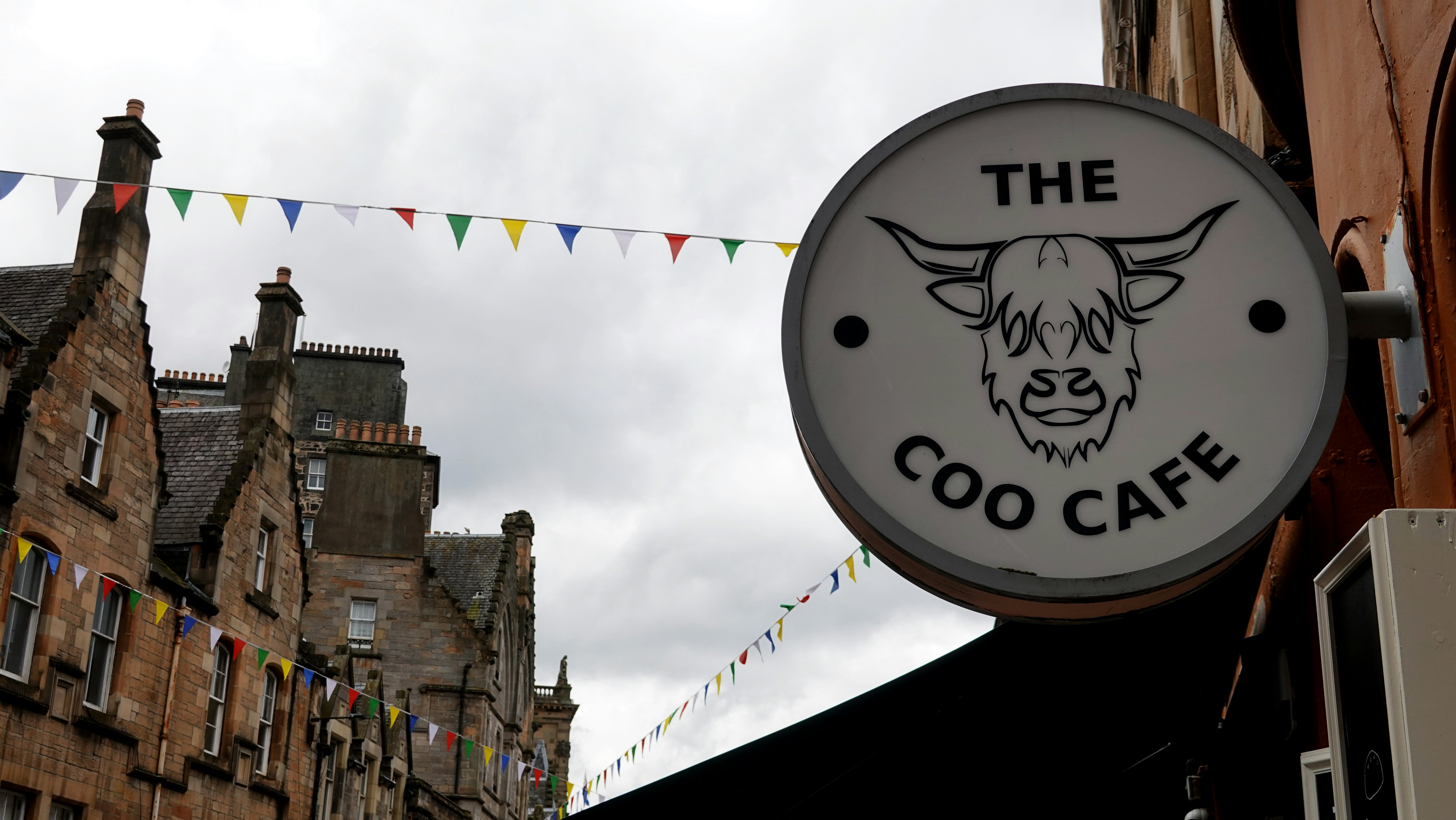 Cow-Led Café Sign Beneath Bright Festooned Sky