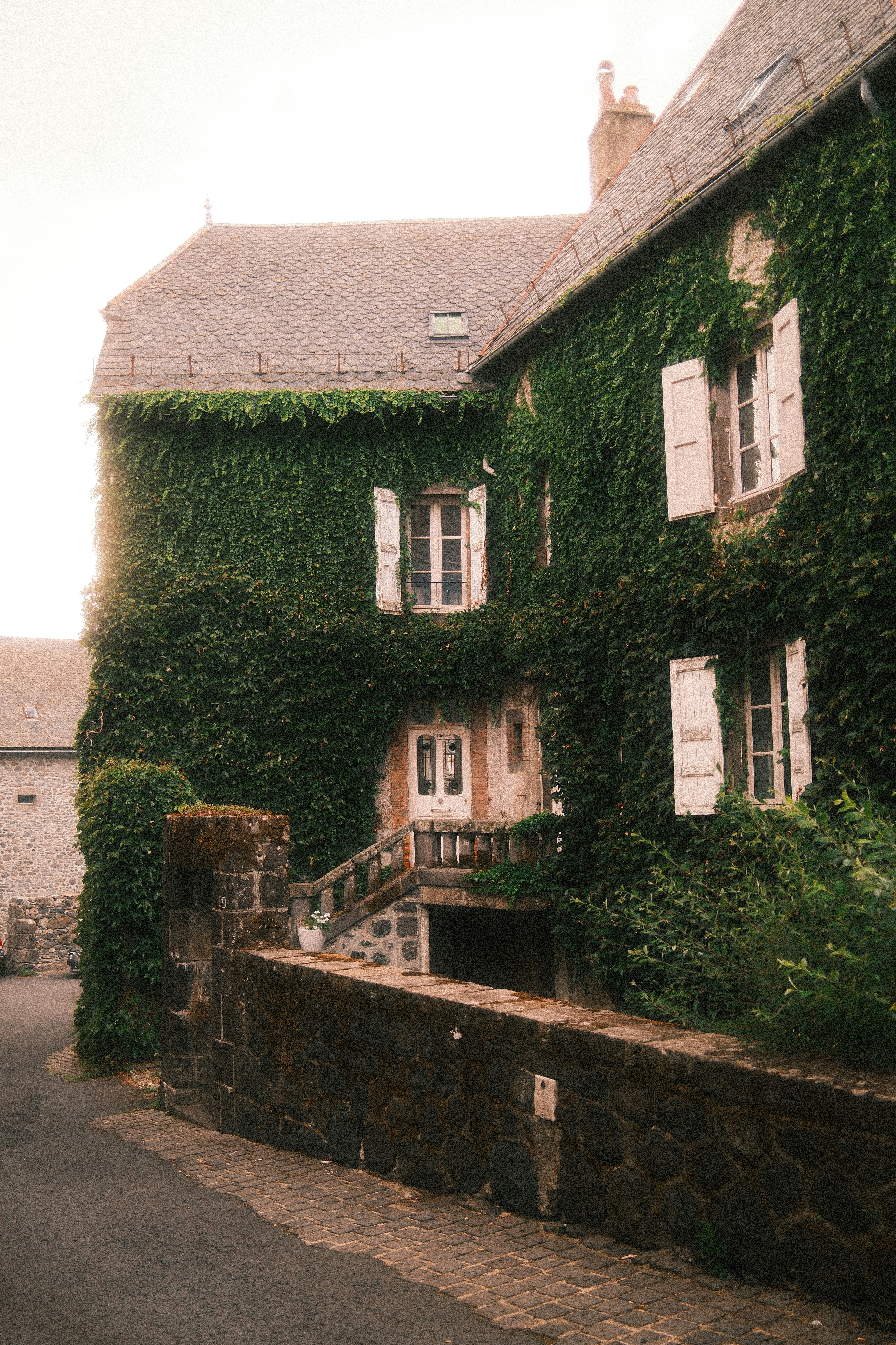 Ivy-Covered Manor: A Quiet Street Portrait