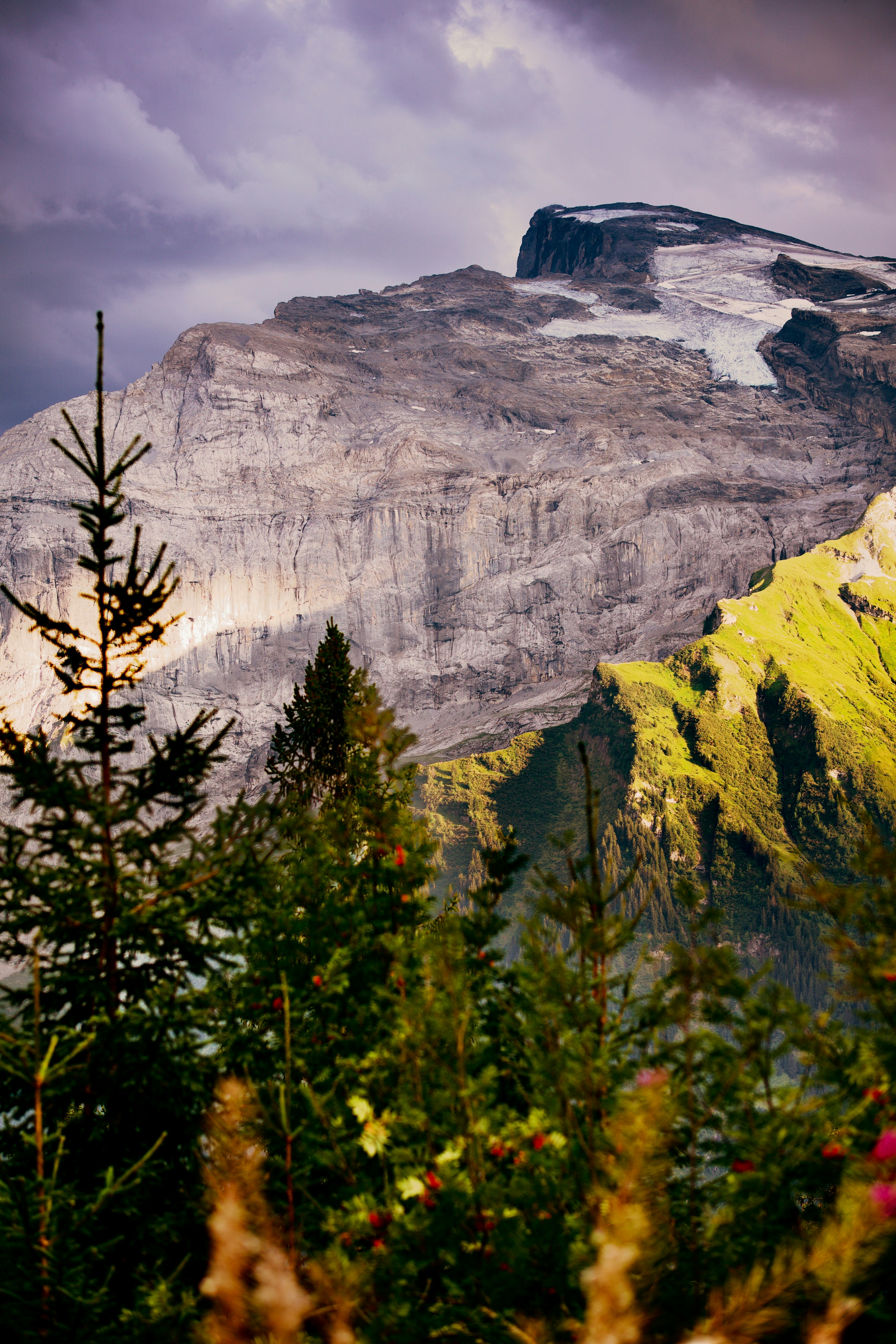 Mountain Crown: Light on the Ridge