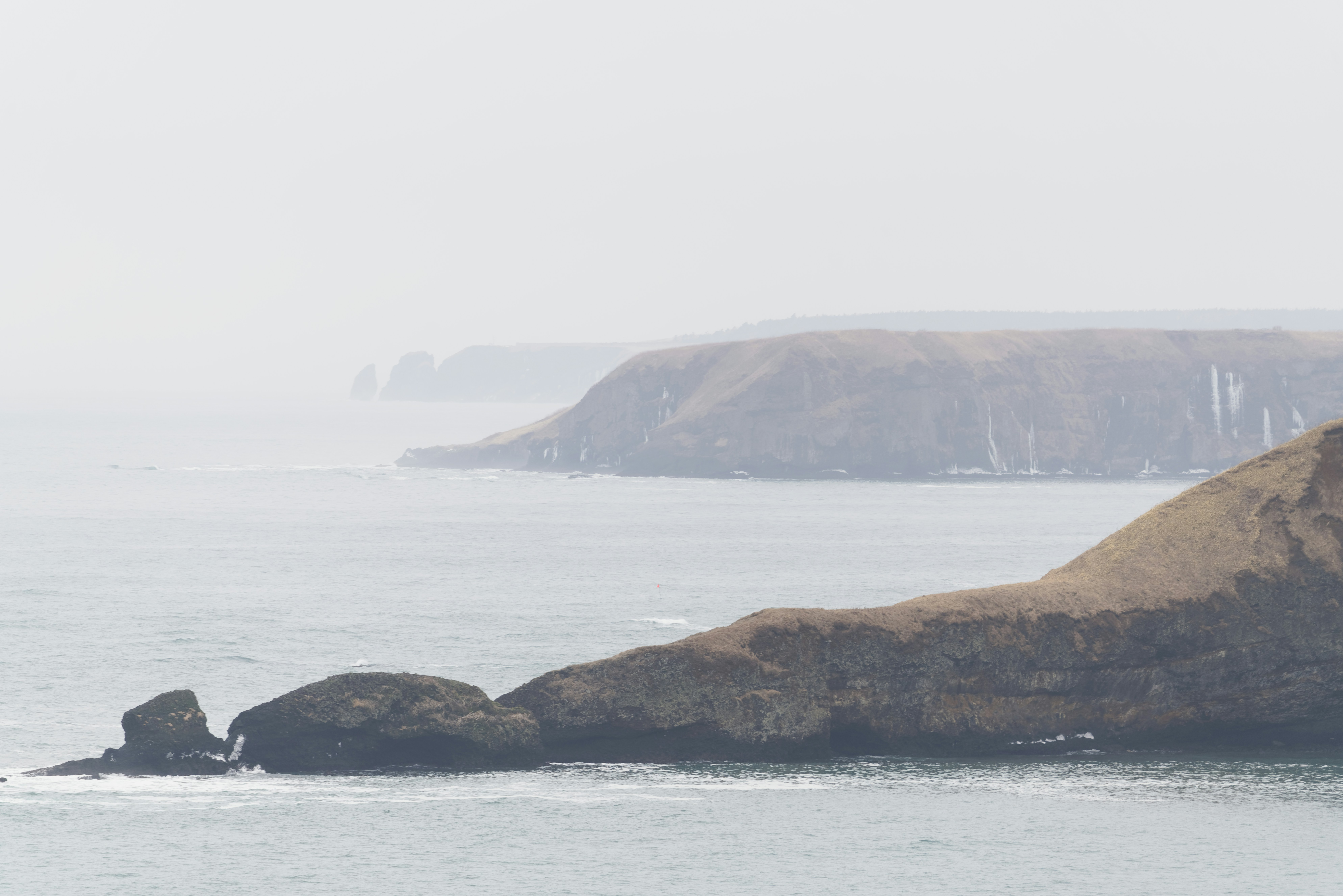 Mist over the Coastal Ridge: Quiet Horizons