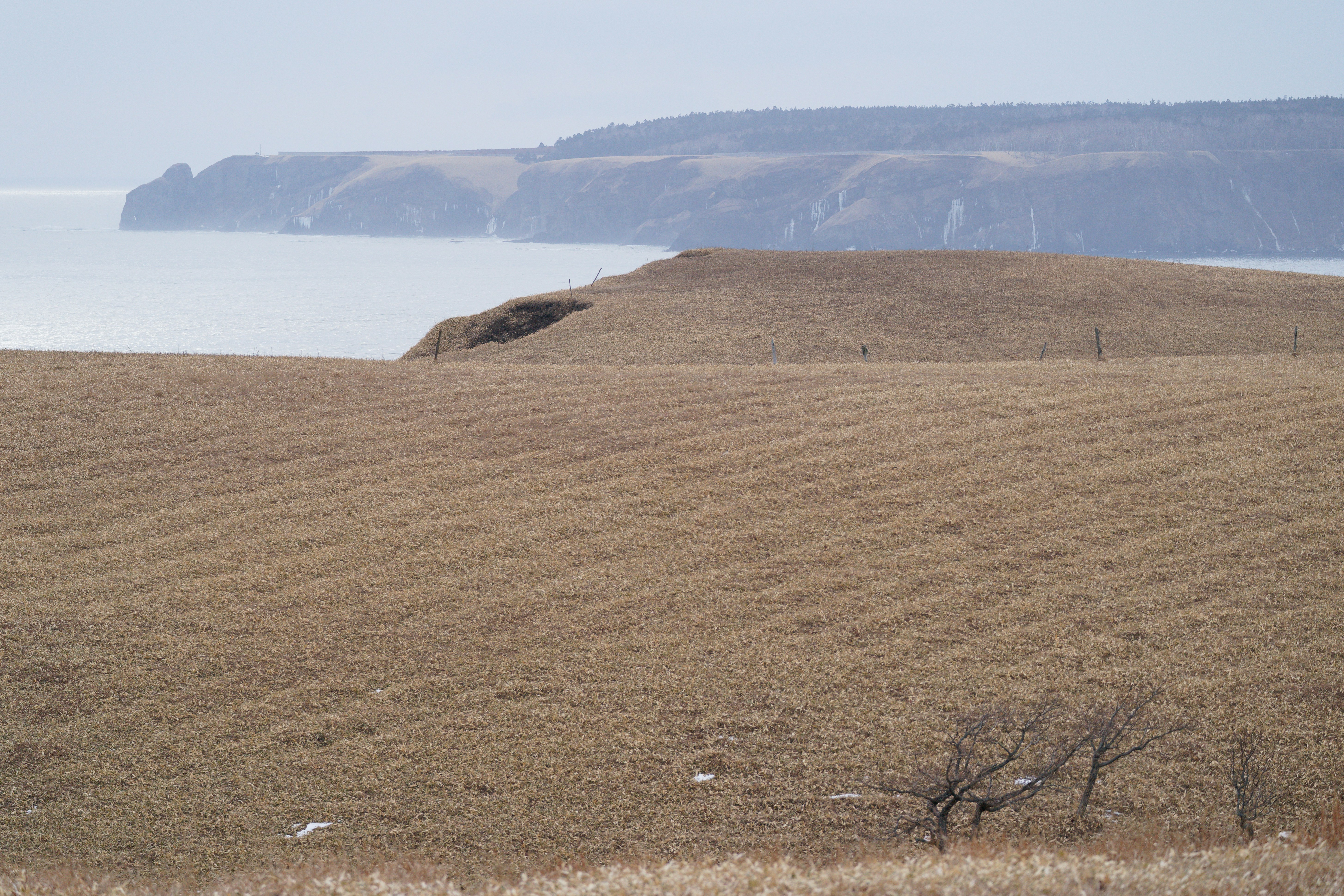 Coastal Plain Beneath a Quiet Cliff