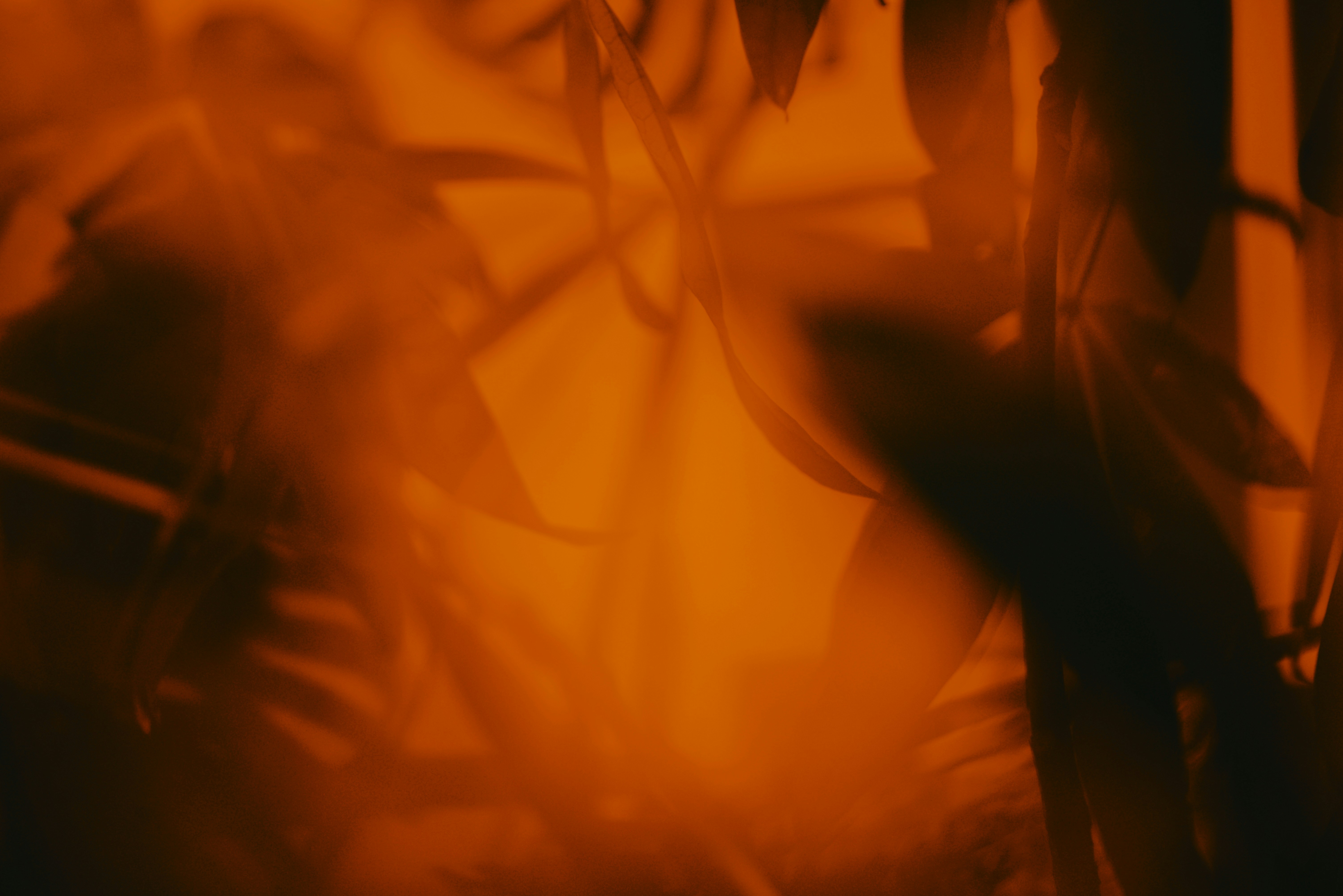 Quiet Ember: Abstract Glare in Orange Haze