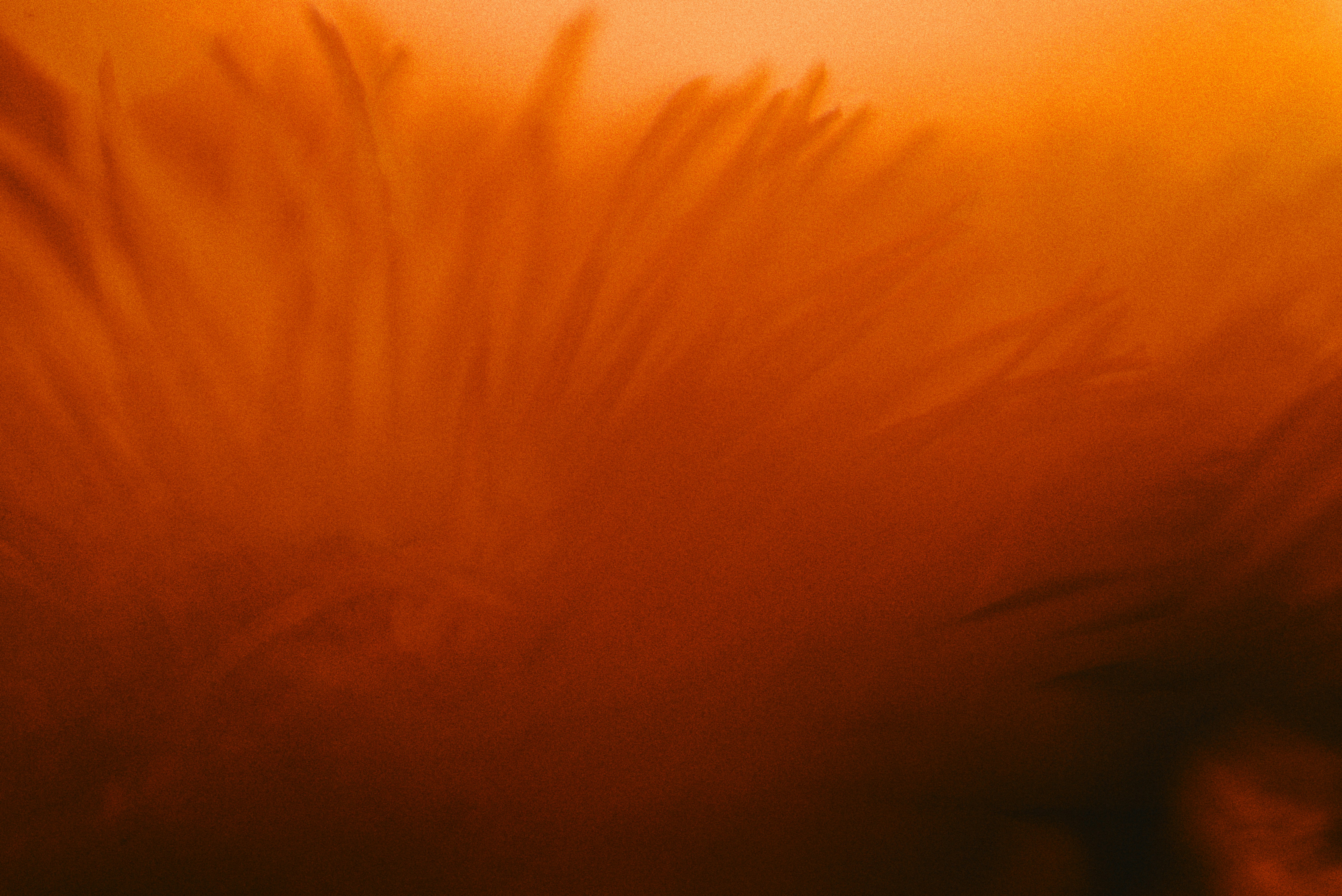 Emergent Ember: An Abstract Portrait in Fiery Haze