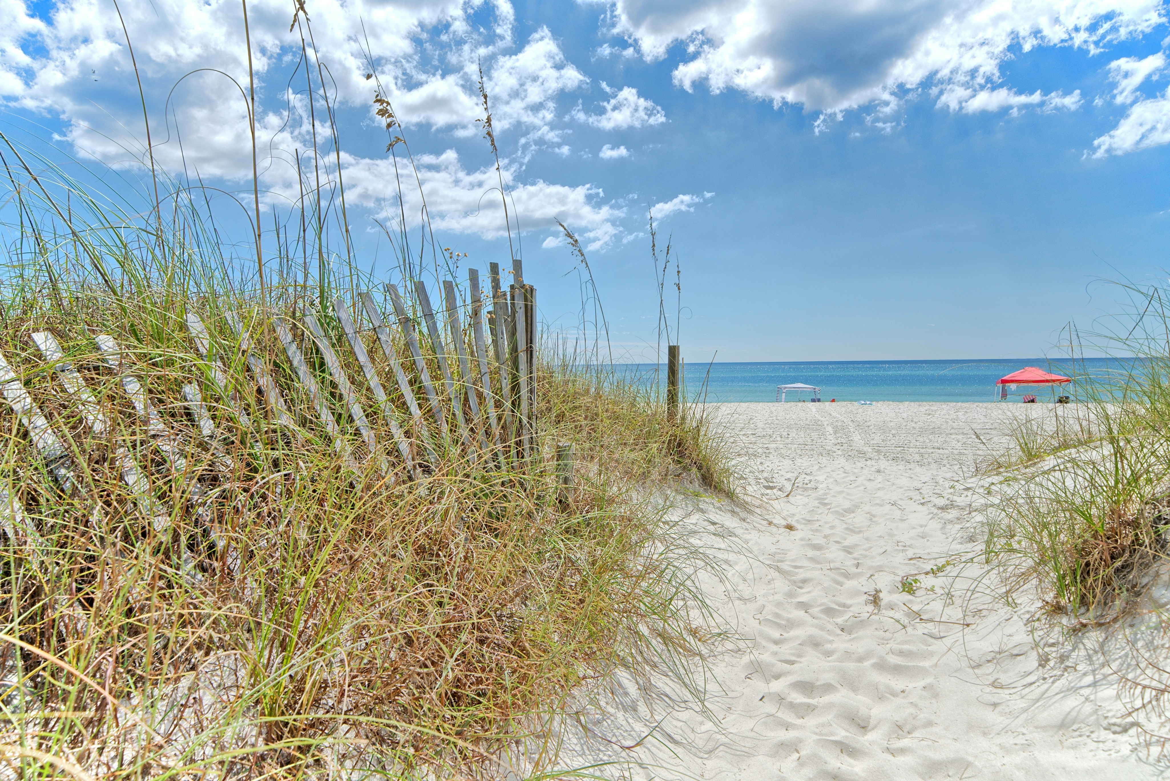 Dune Path to the Sea: A Bright Beach Corridor
