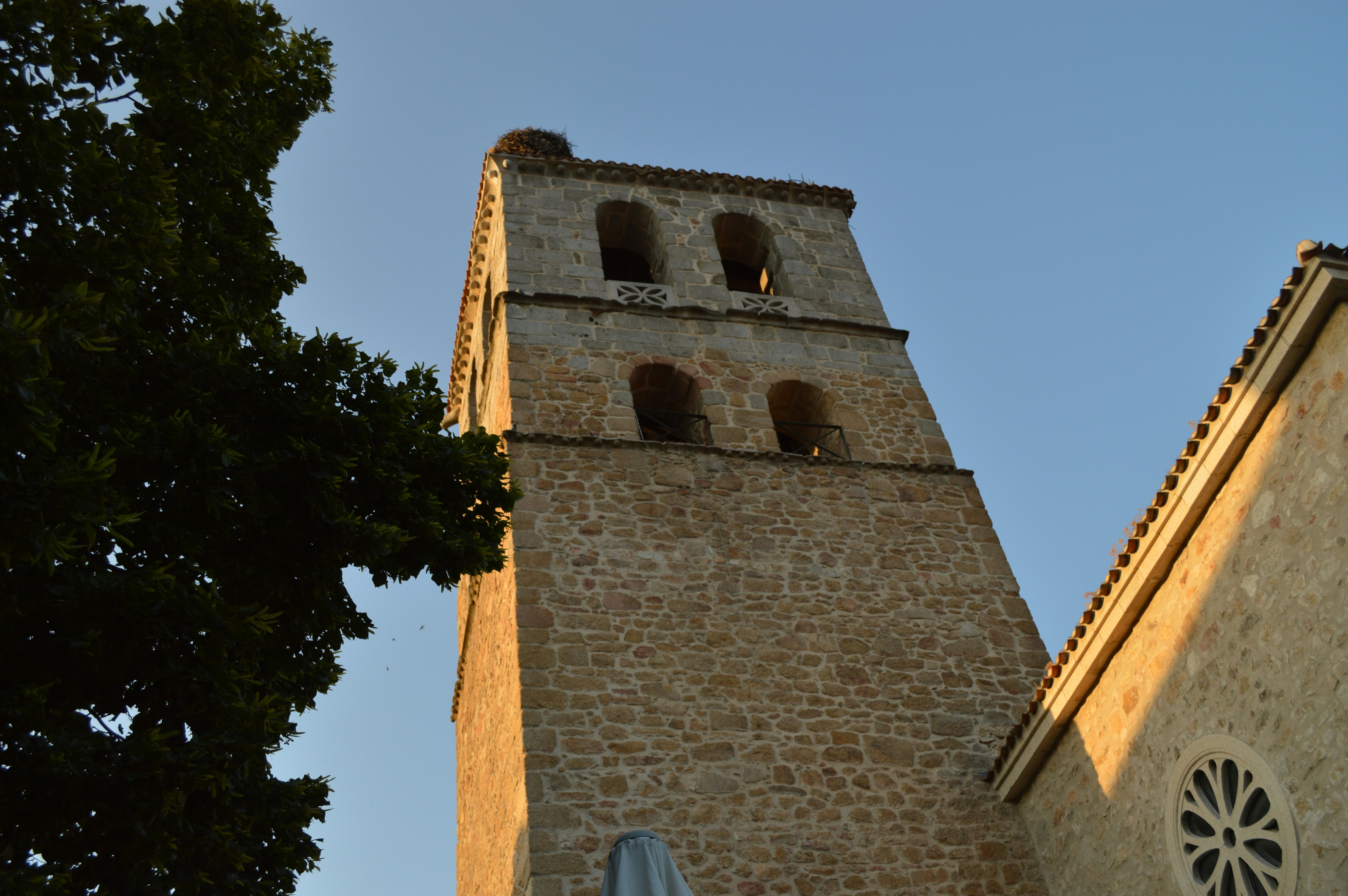 Stone bell tower rises against a bright blue sky with a leafy tree framing the left; warm sunlight highlights the textured masonry.