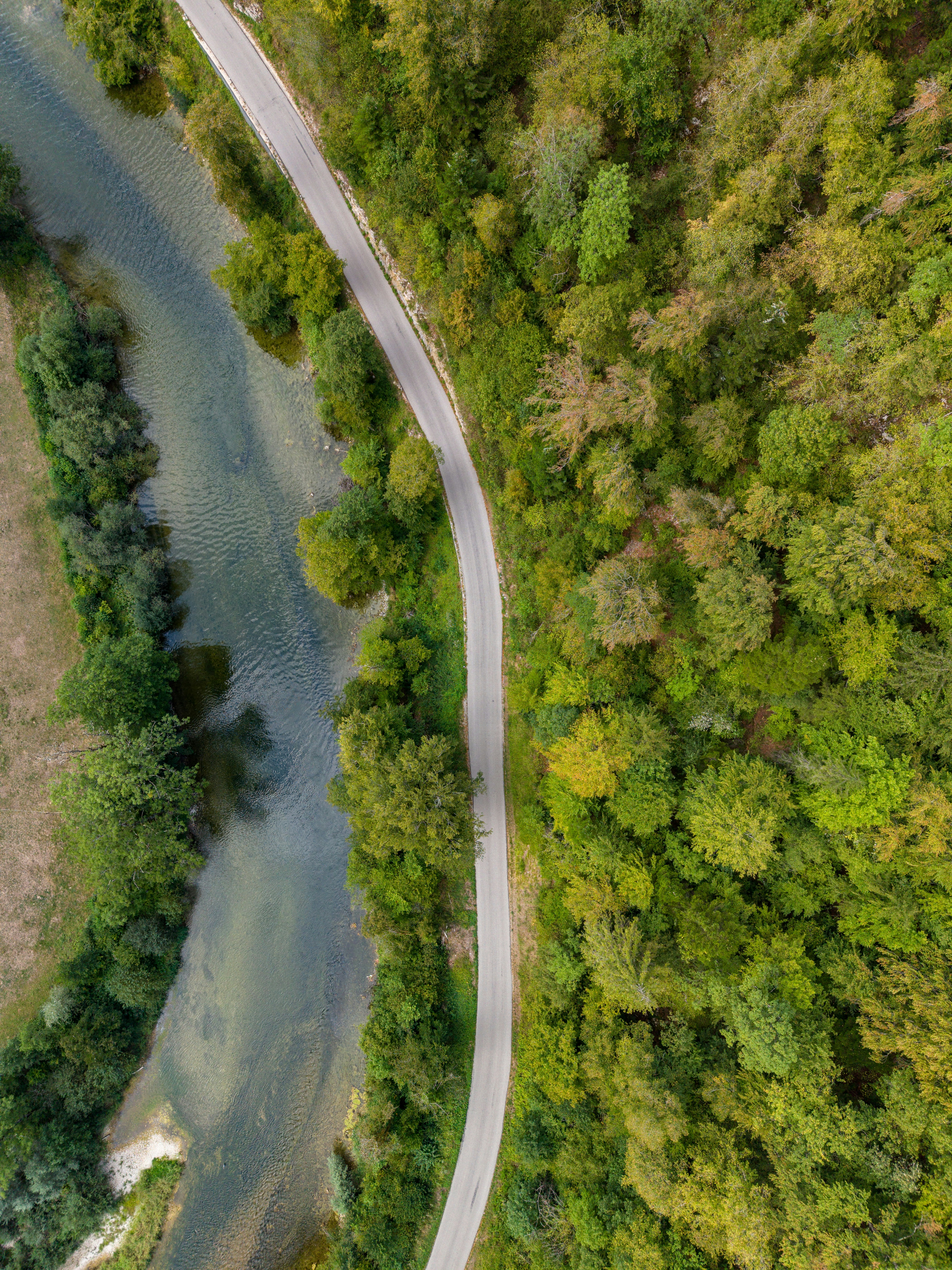 Curved River Road Through Autumn Canopy
