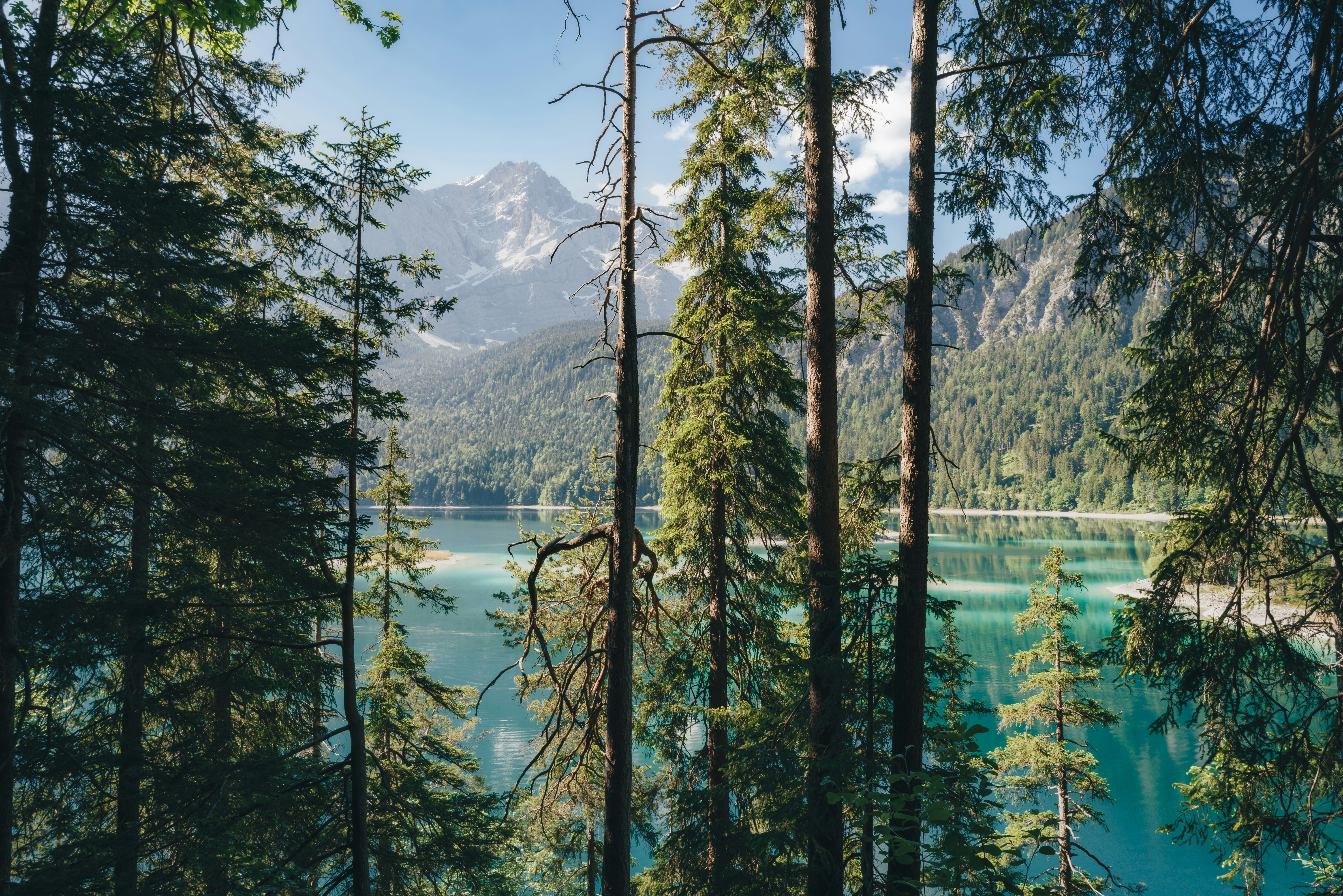 Emerald Mirror: Alpine Lake Framed by Ancient Pines