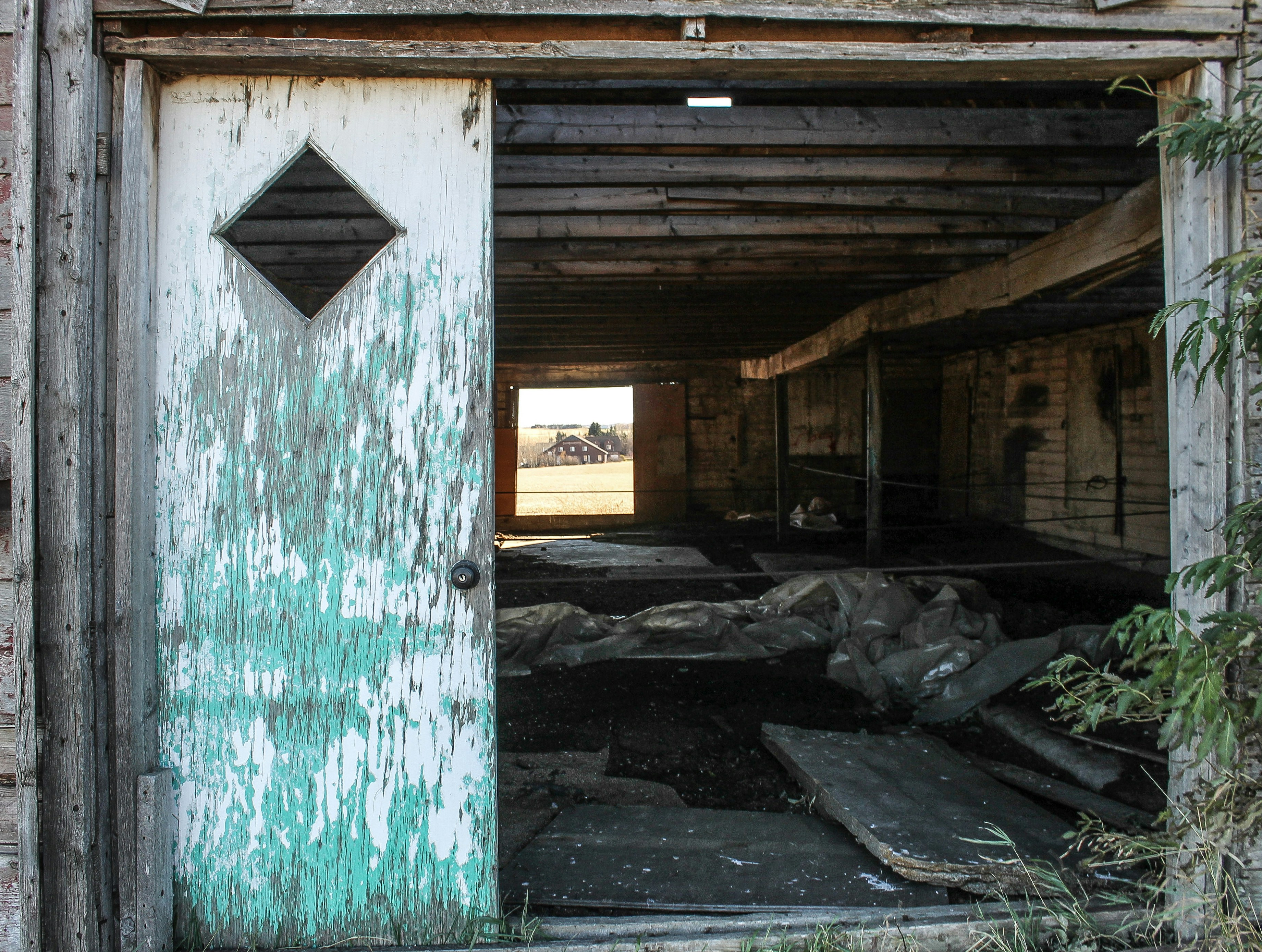 Light at the Threshold: Sunlit Room Through a Weathered Barn Door
