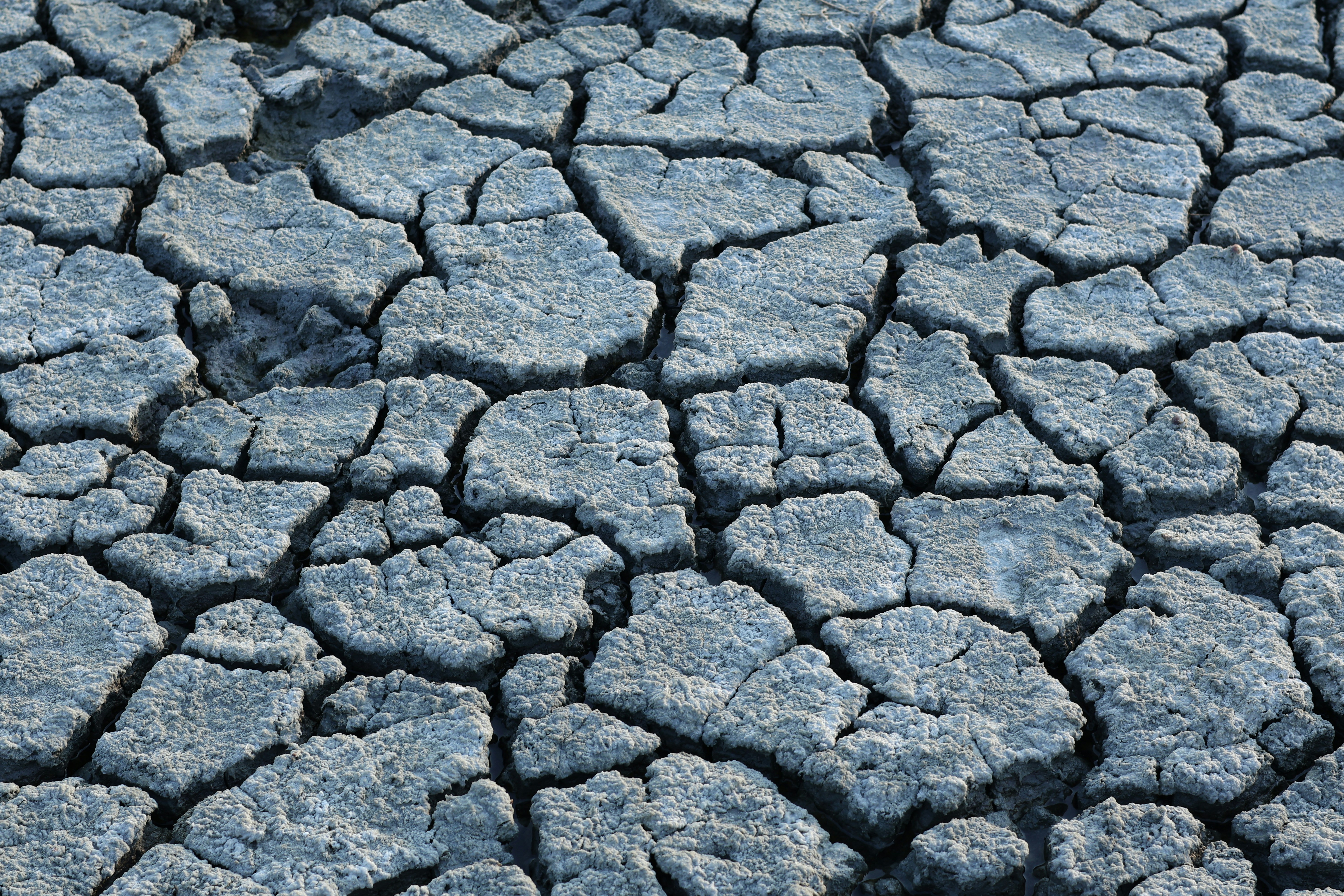 Cracked Earth: An Aged Desert Mosaic Under Harsh Light