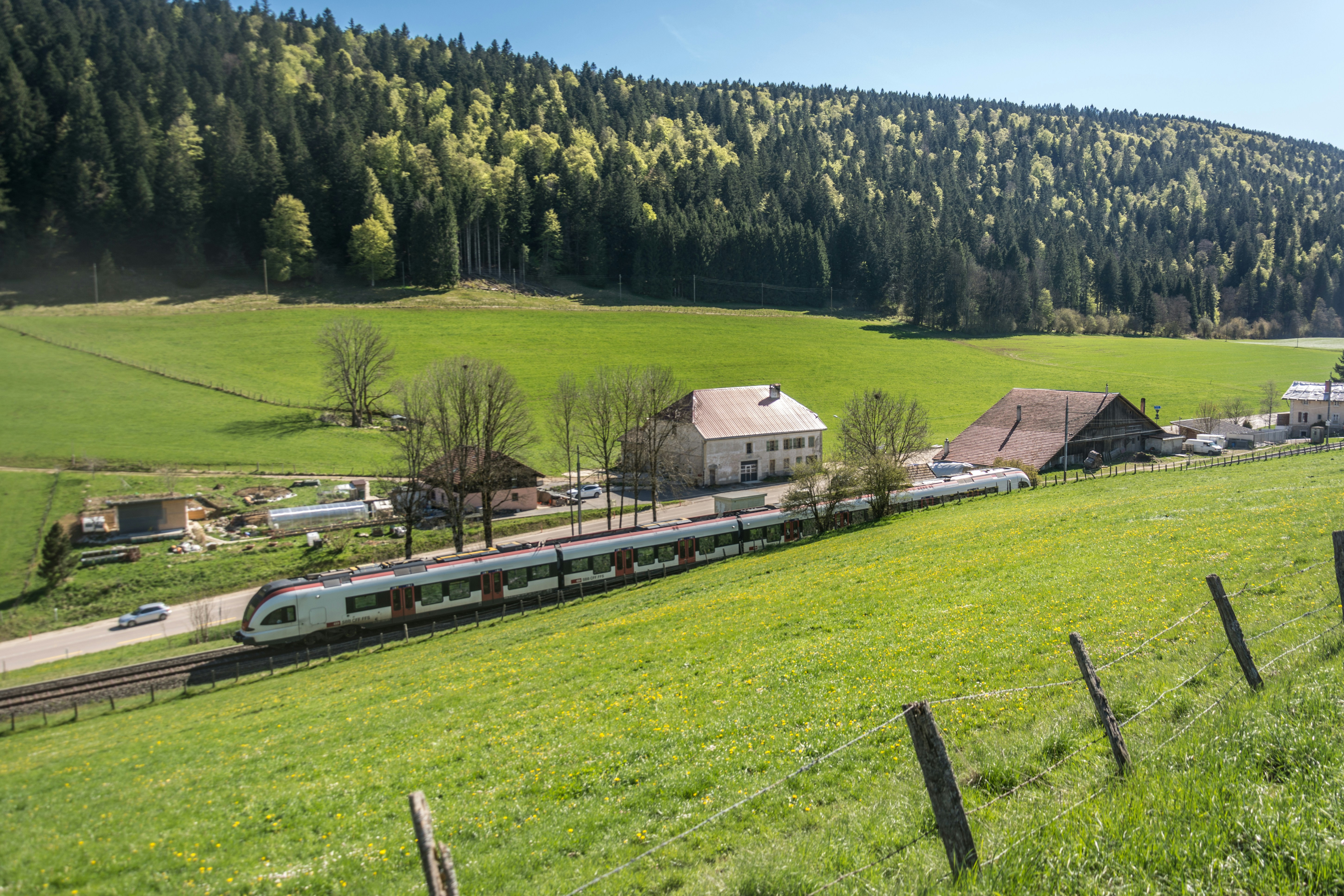 Green Valley Express: A Train through the Alpine Lane