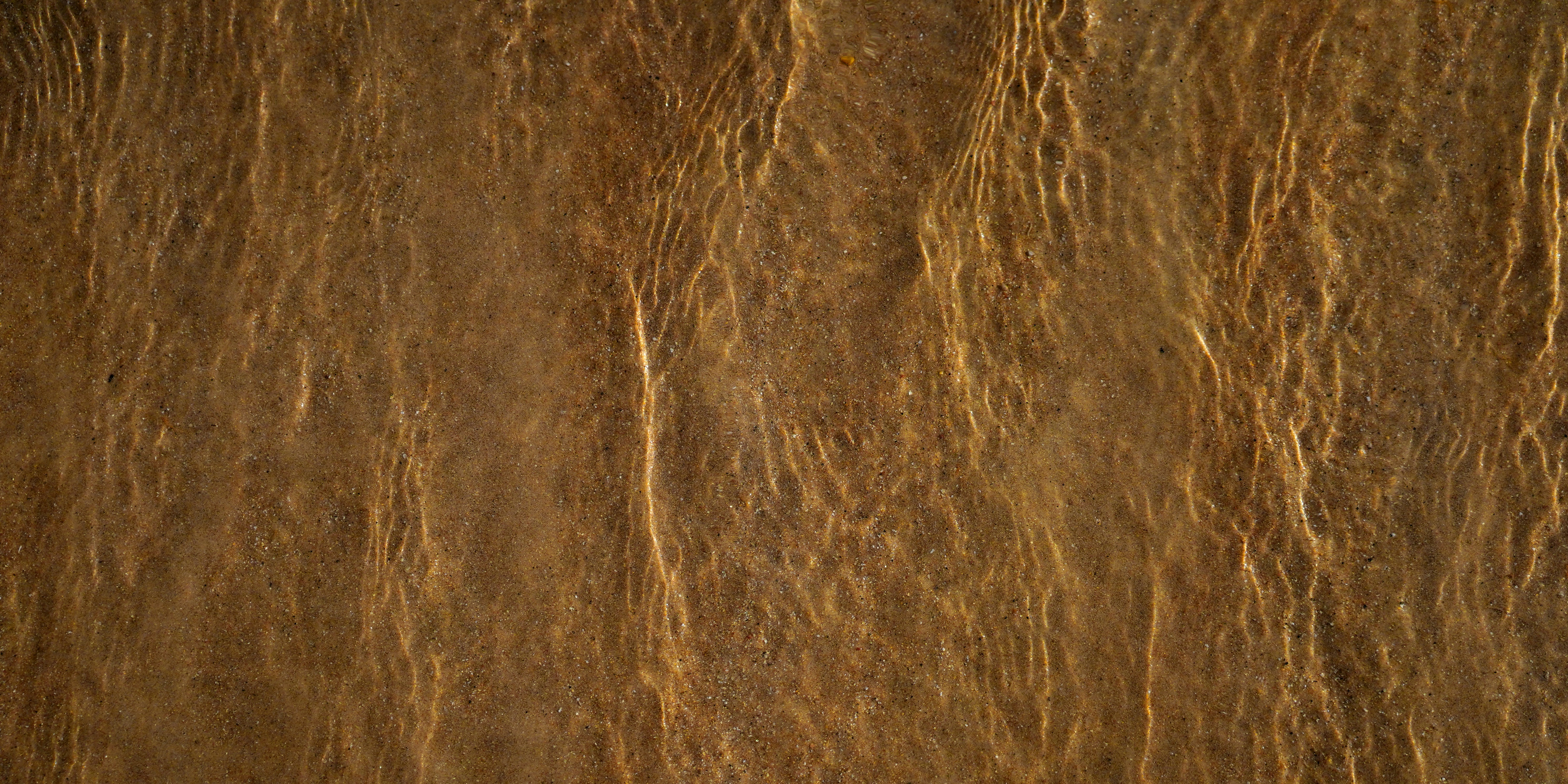 Golden Veins on Quiet Terrain