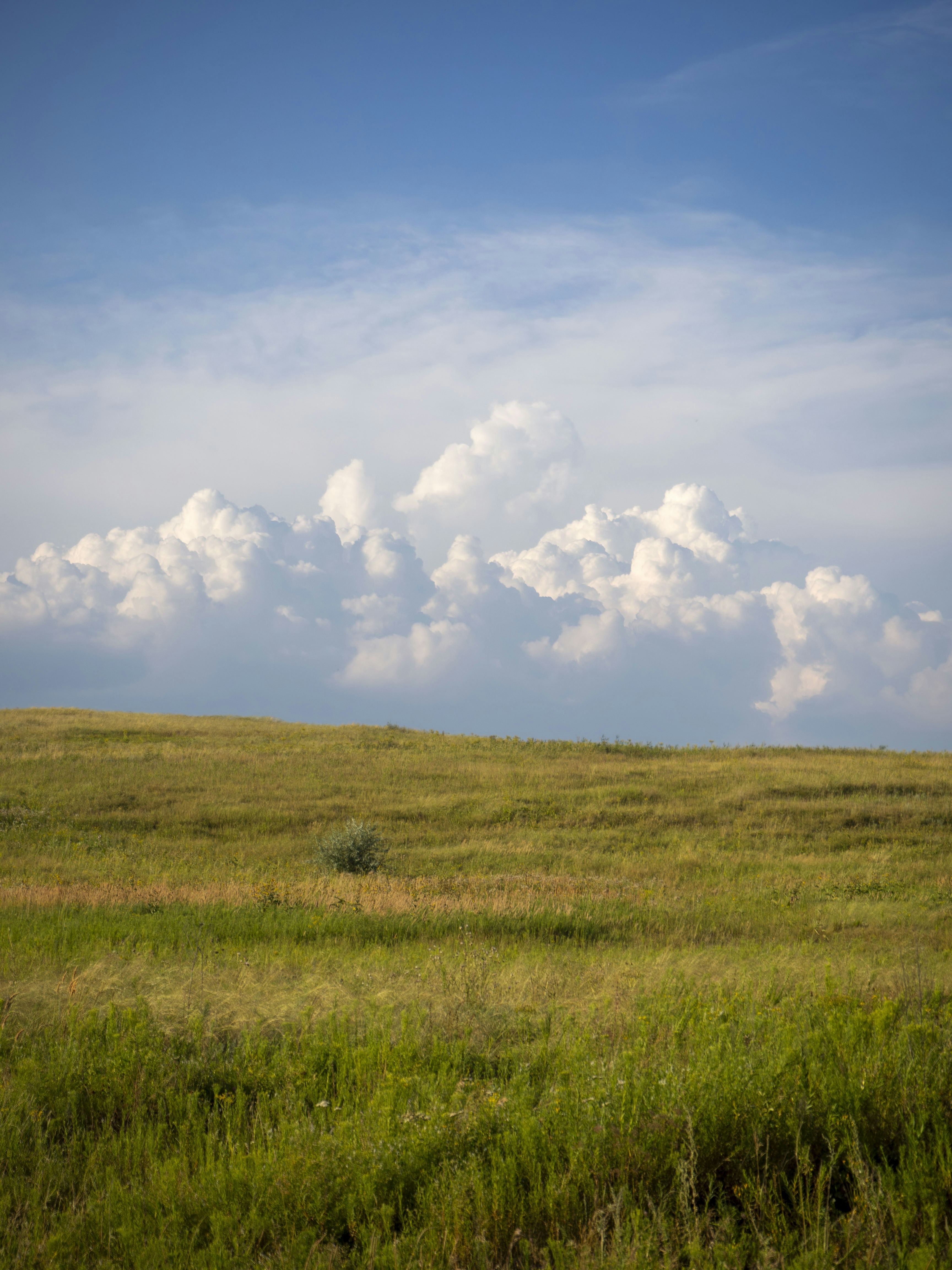 A green hill against a sky filled with dramatic cumulus clouds