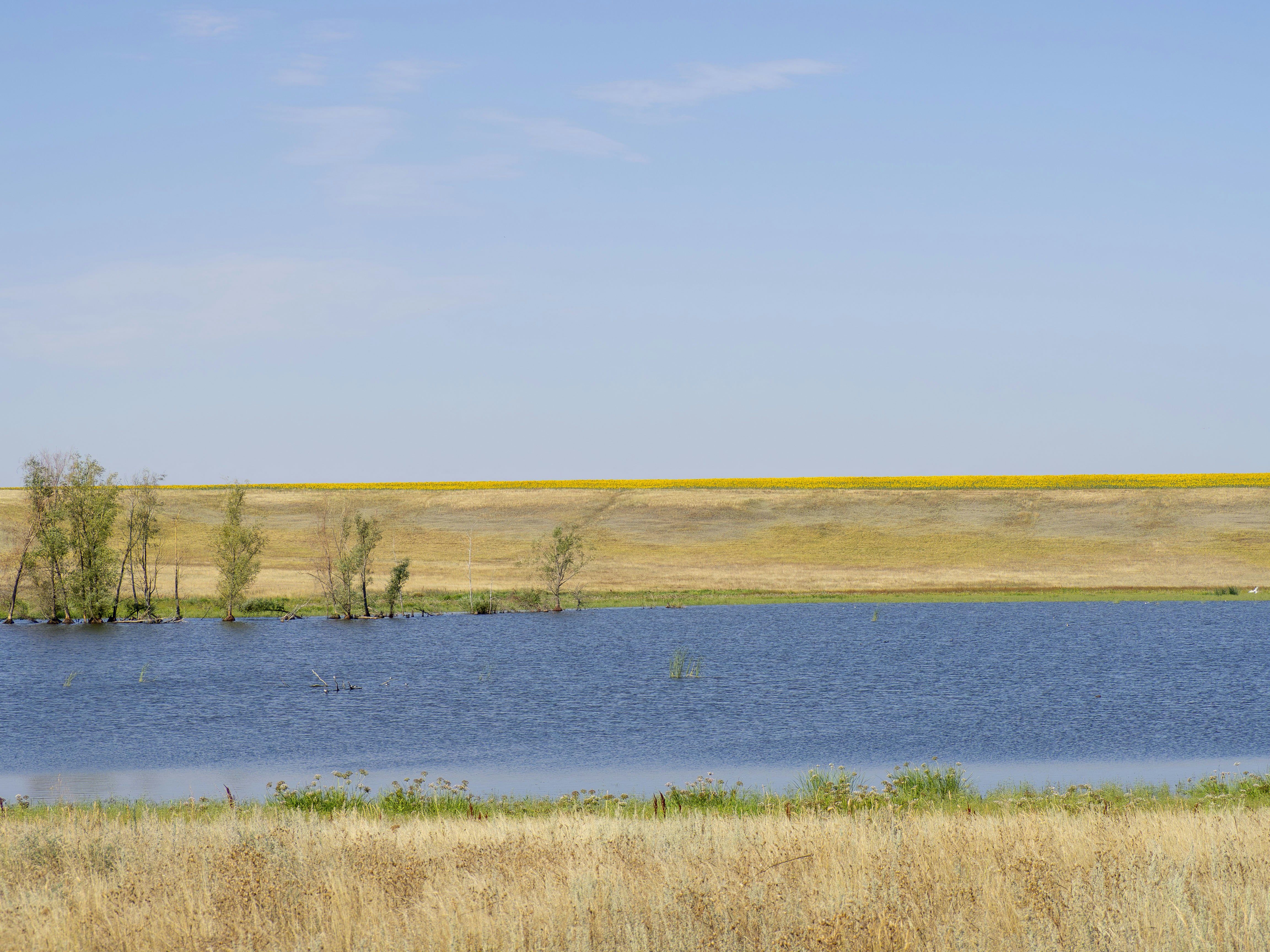 Quiet Horizon: A Striped Field and Waterline Under Blue Sky