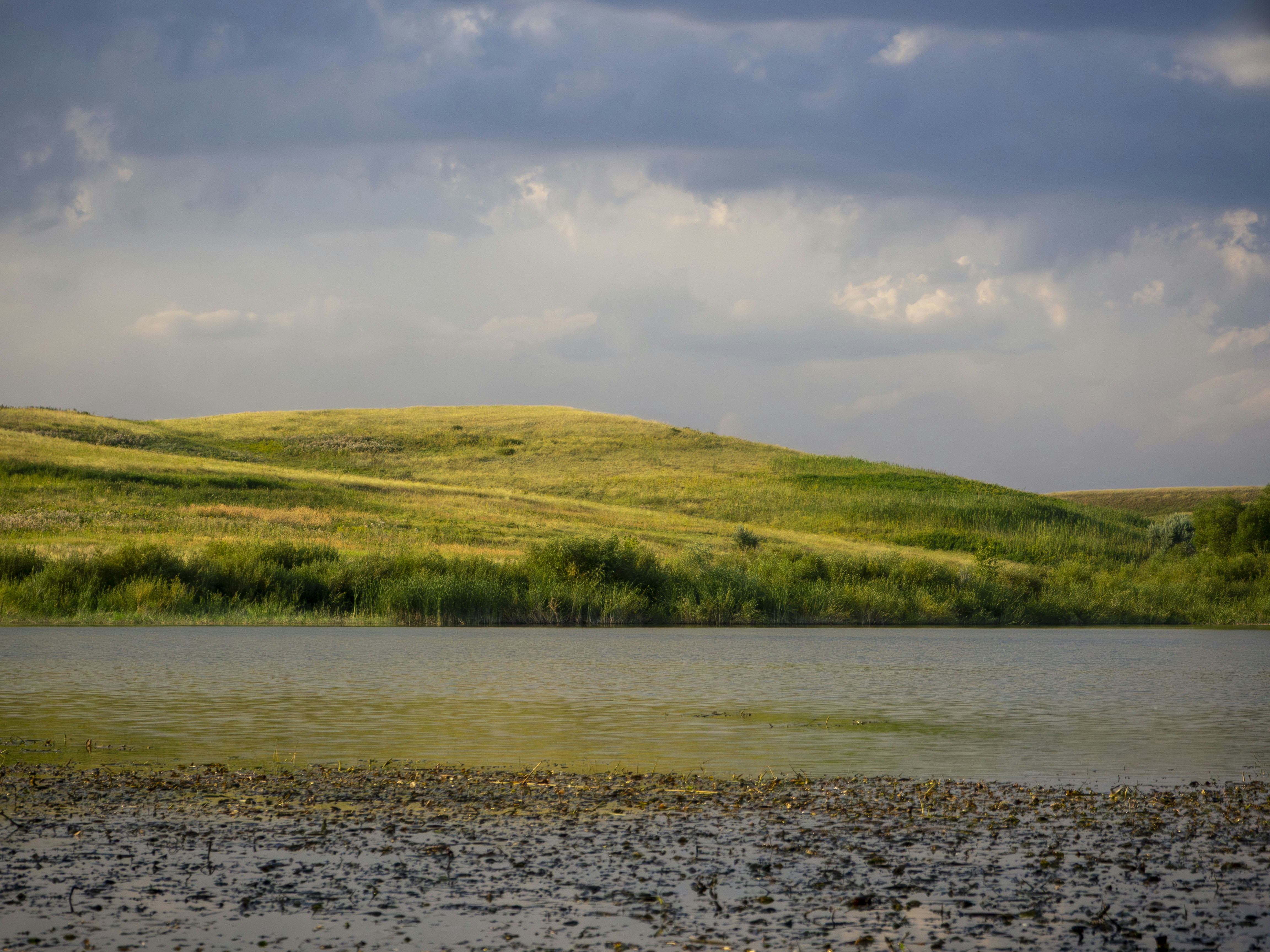 Golden Hills Beyond the Quiet Shore