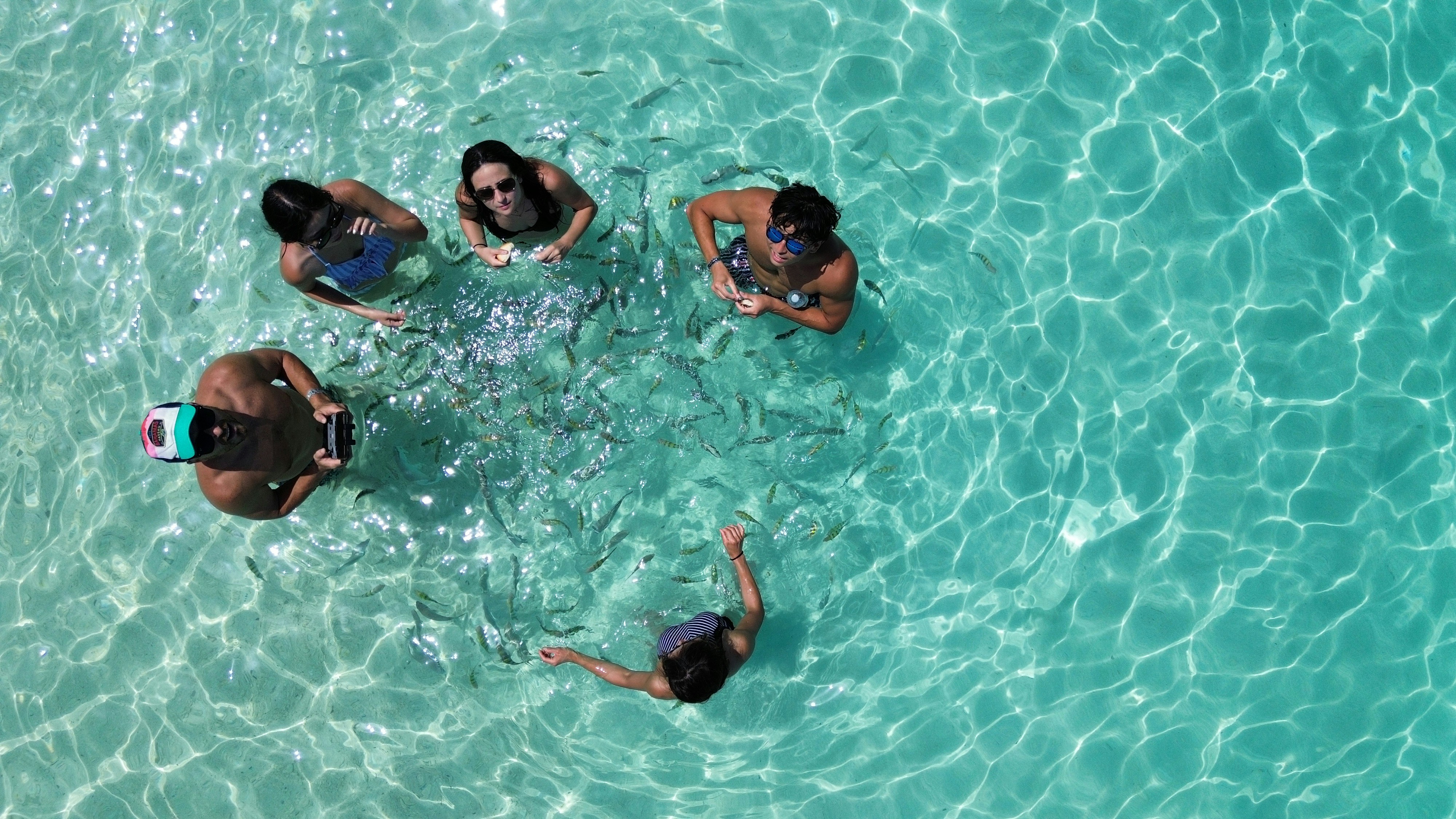 Emerald Circle: Snorkelers in Turquoise Waters