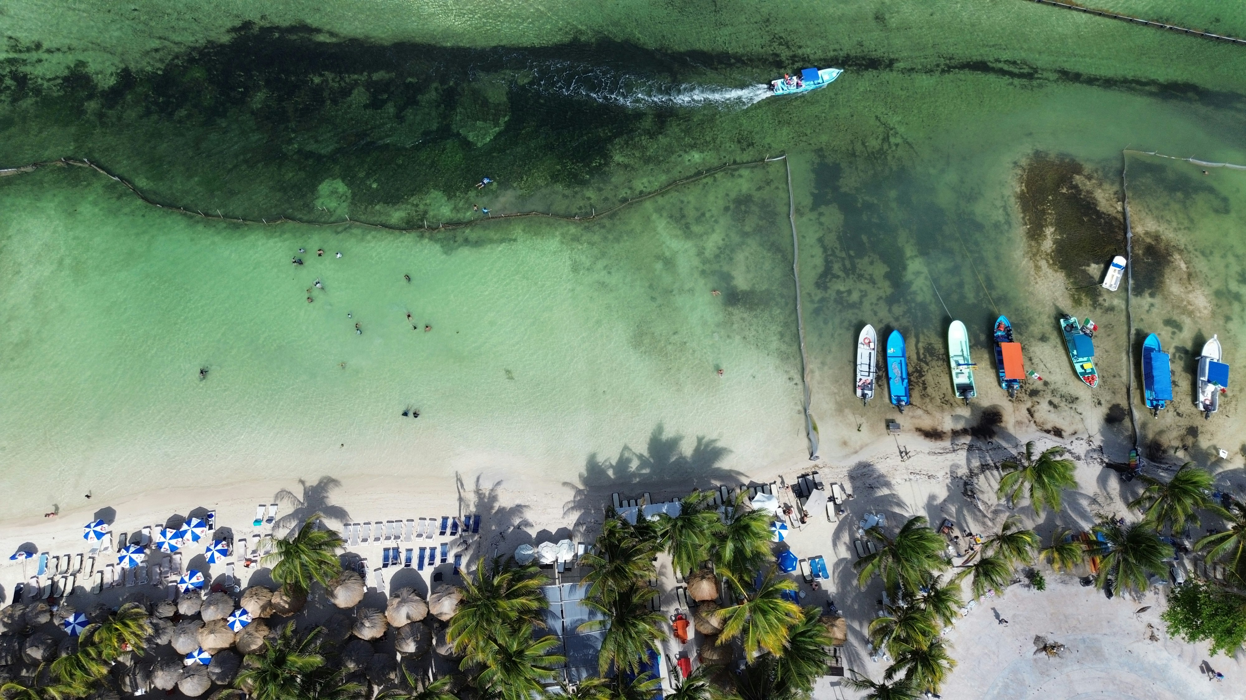 Tropical Shoreline: Boats Resting Along a Palm-Threaded Beach