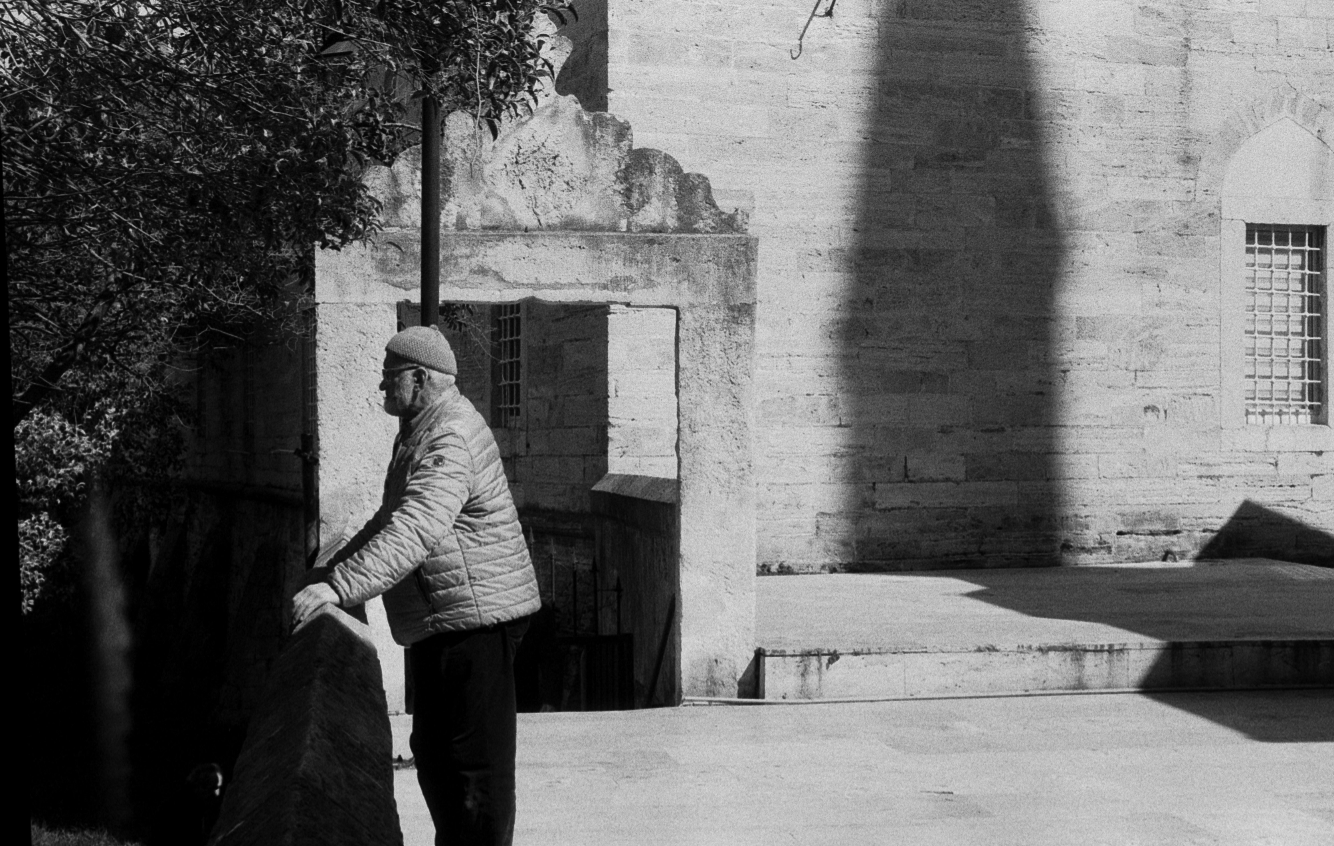 The Quiet Gatekeeper in Shade