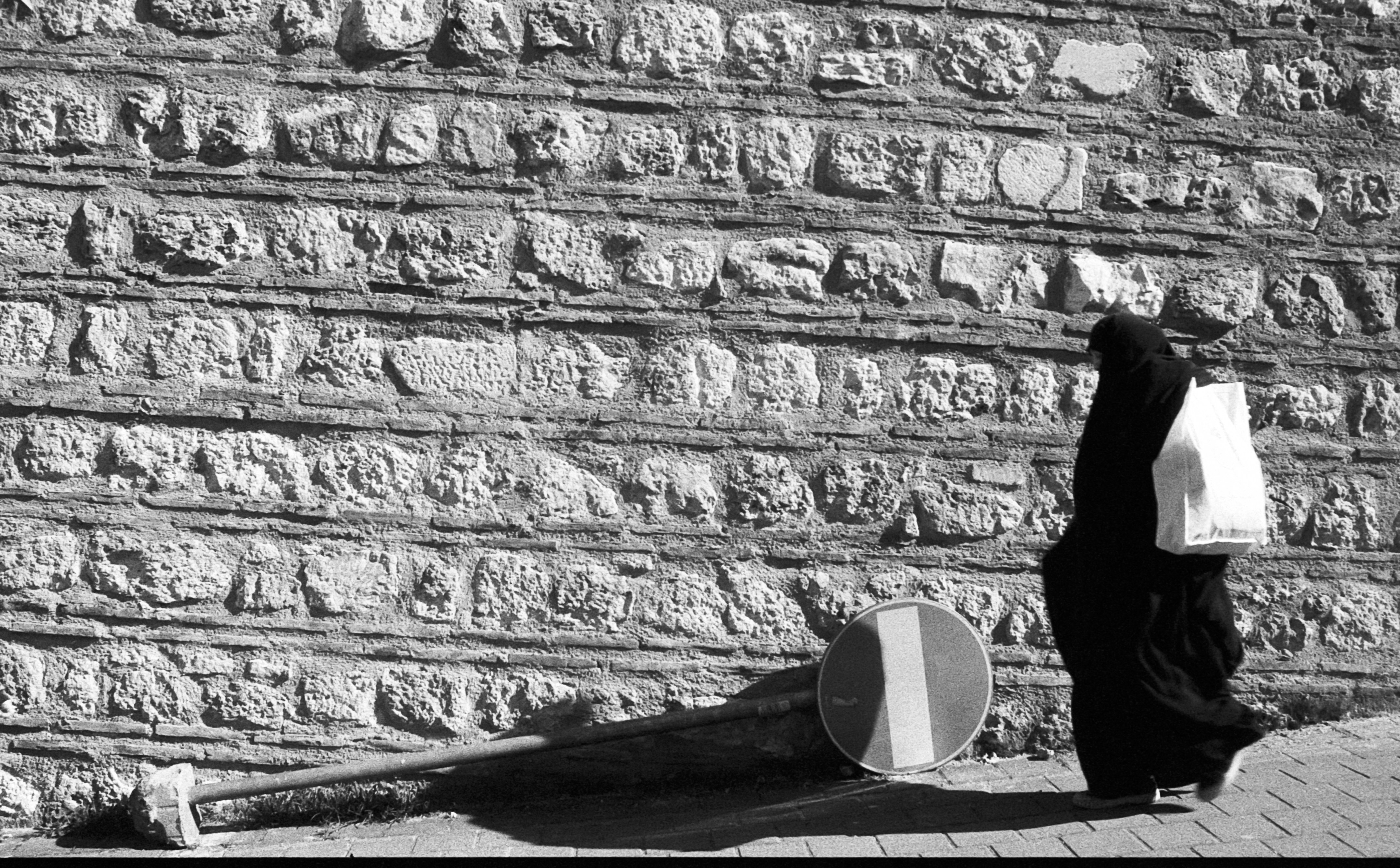 Shadowed Messenger: A Solemn Walk Along the Stony Wall