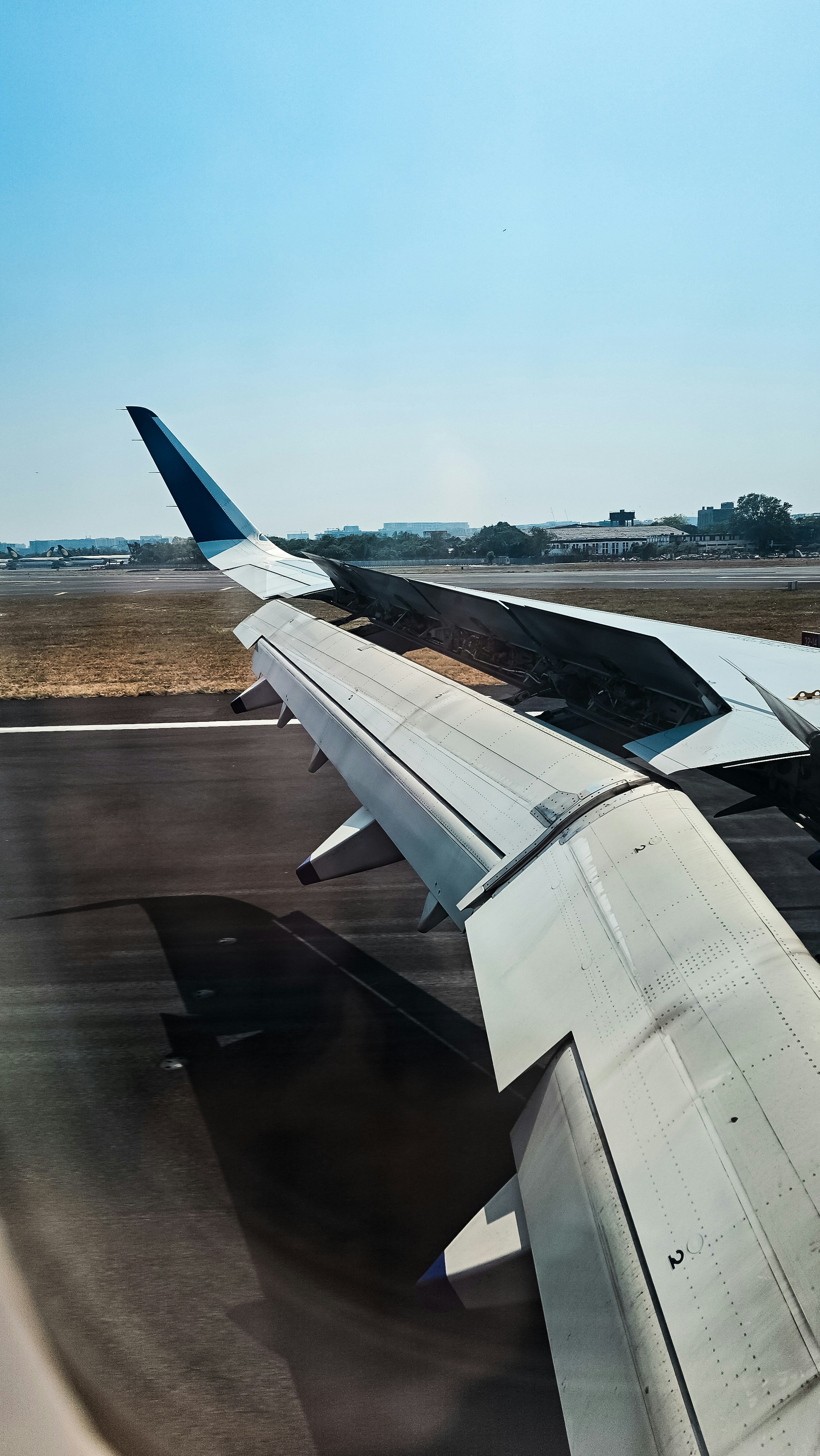 Wing in the Afternoon: A Jet’s Edge Over Runway Tarmac