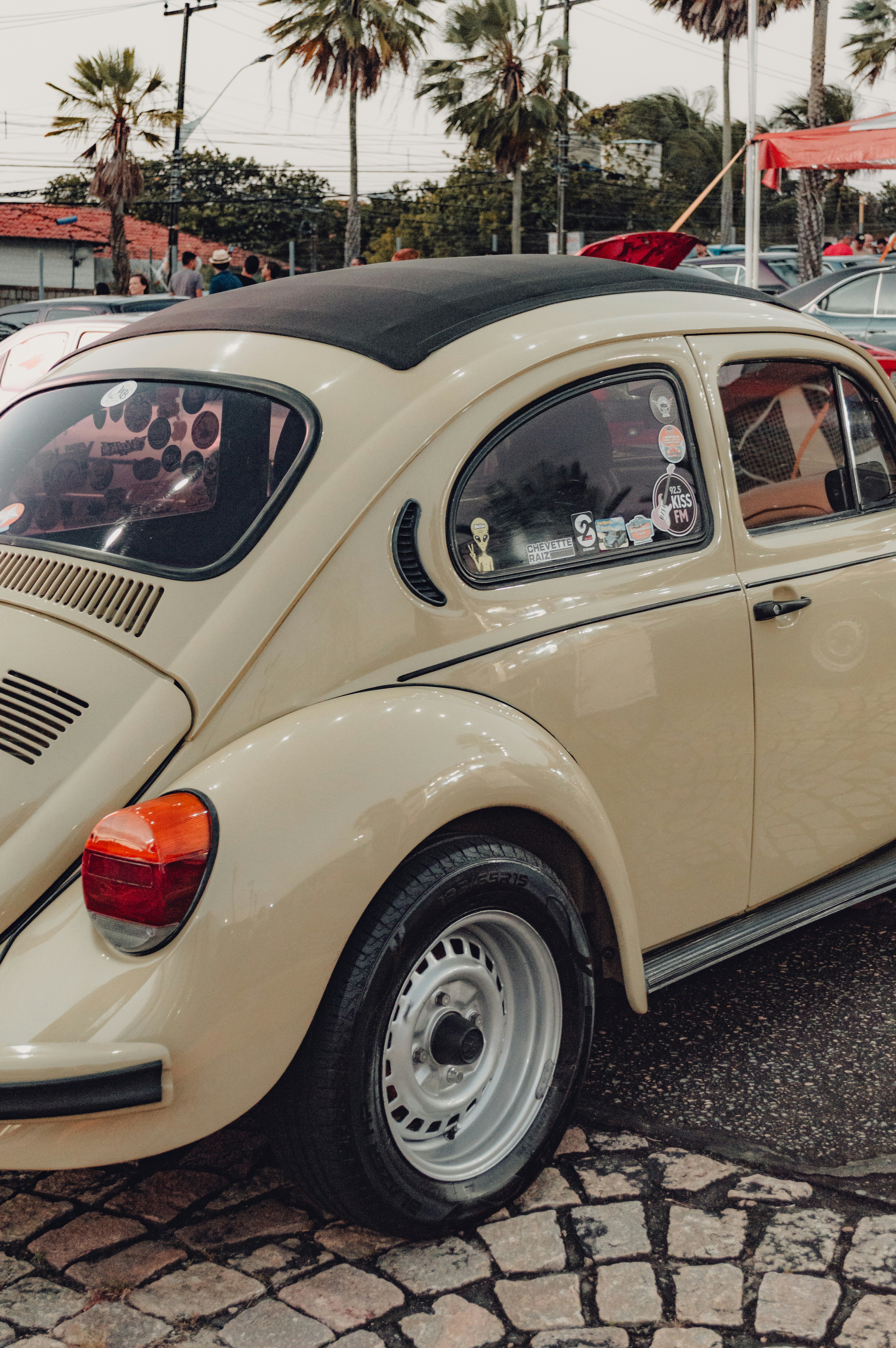 Cream Volkswagen in a Palm-Shaded Parking Lot
