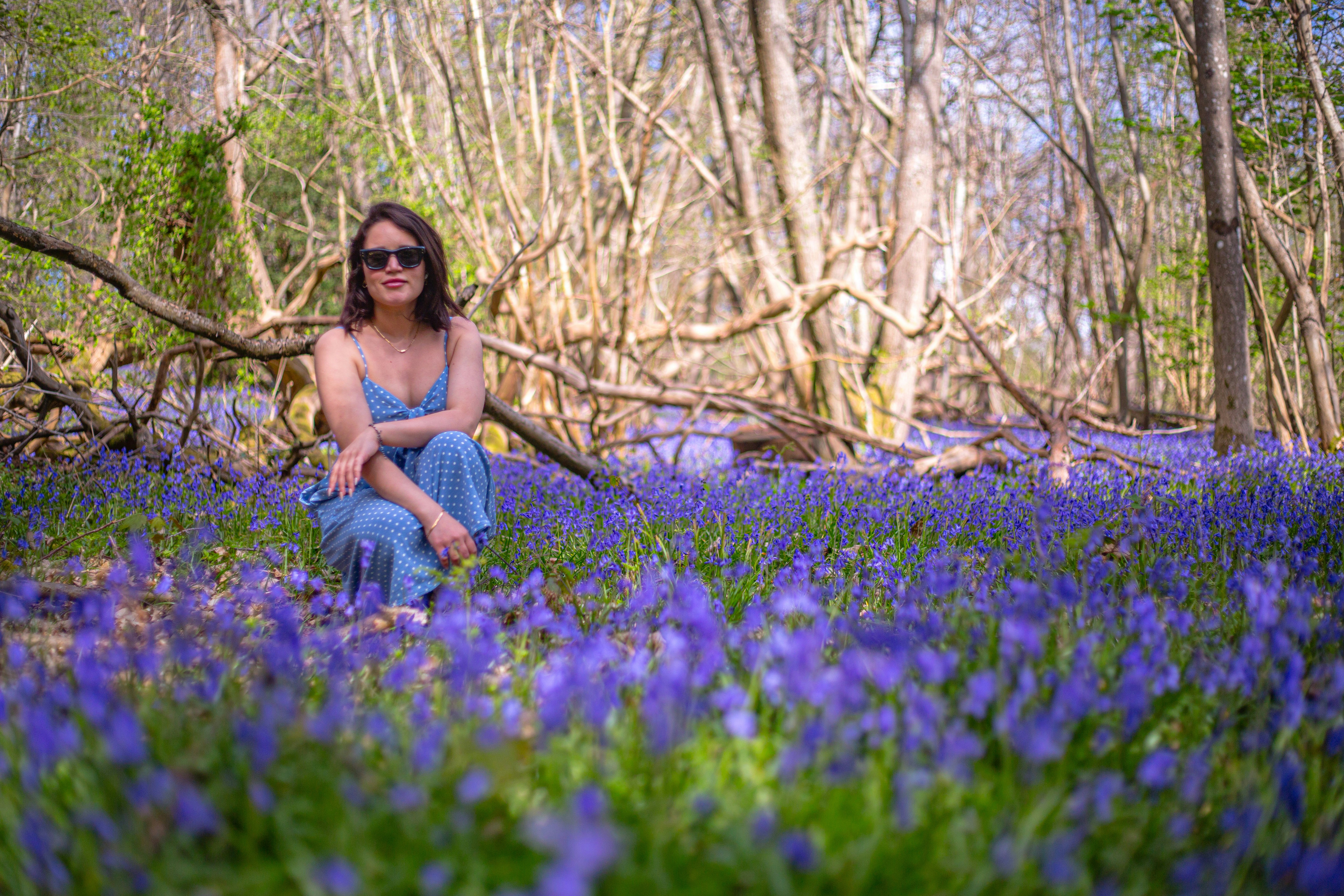 Bluebell Quiet: Woman in a Field of Violet Spring Blooms