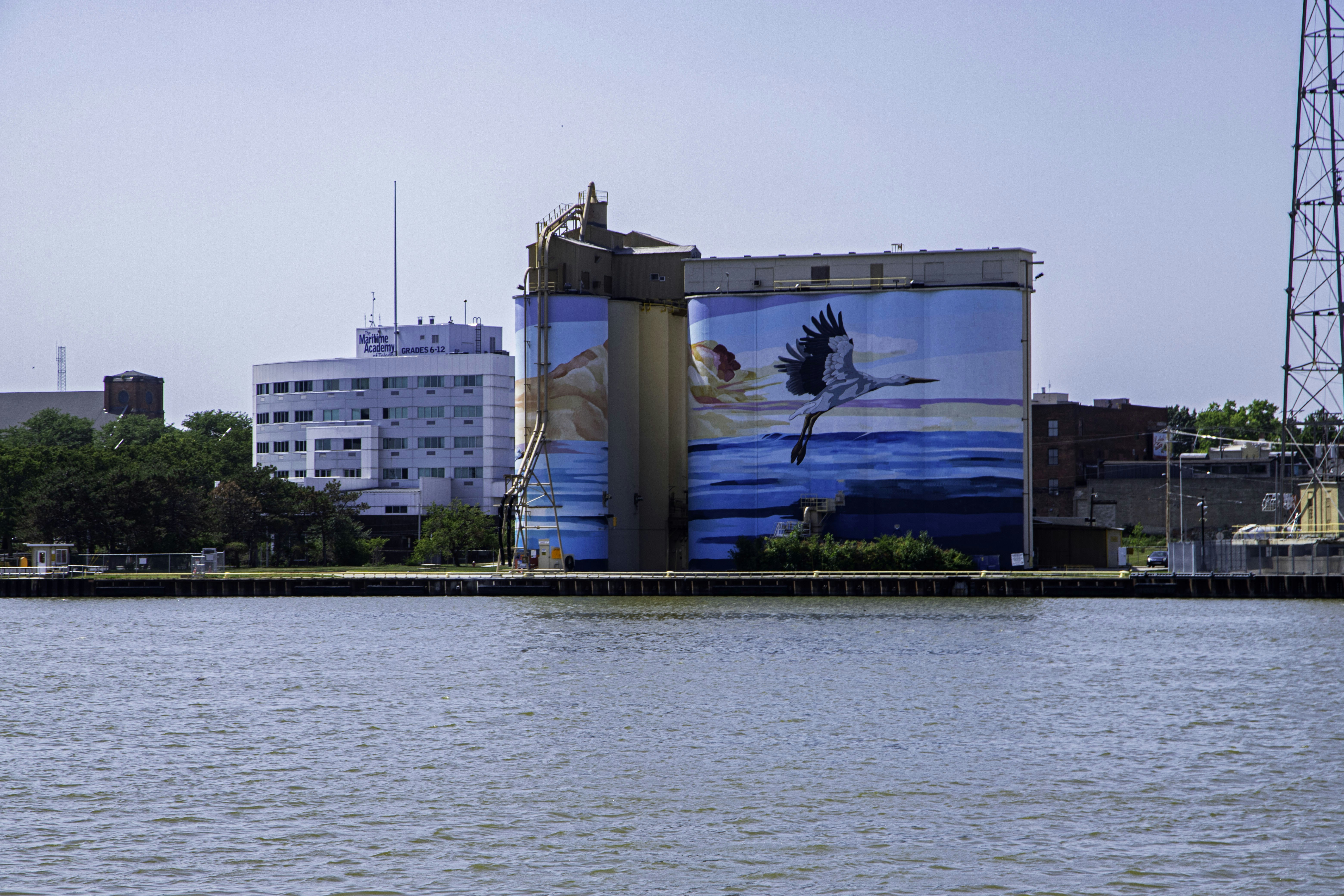 A large grain silo painted with a mural of a bird flying over water