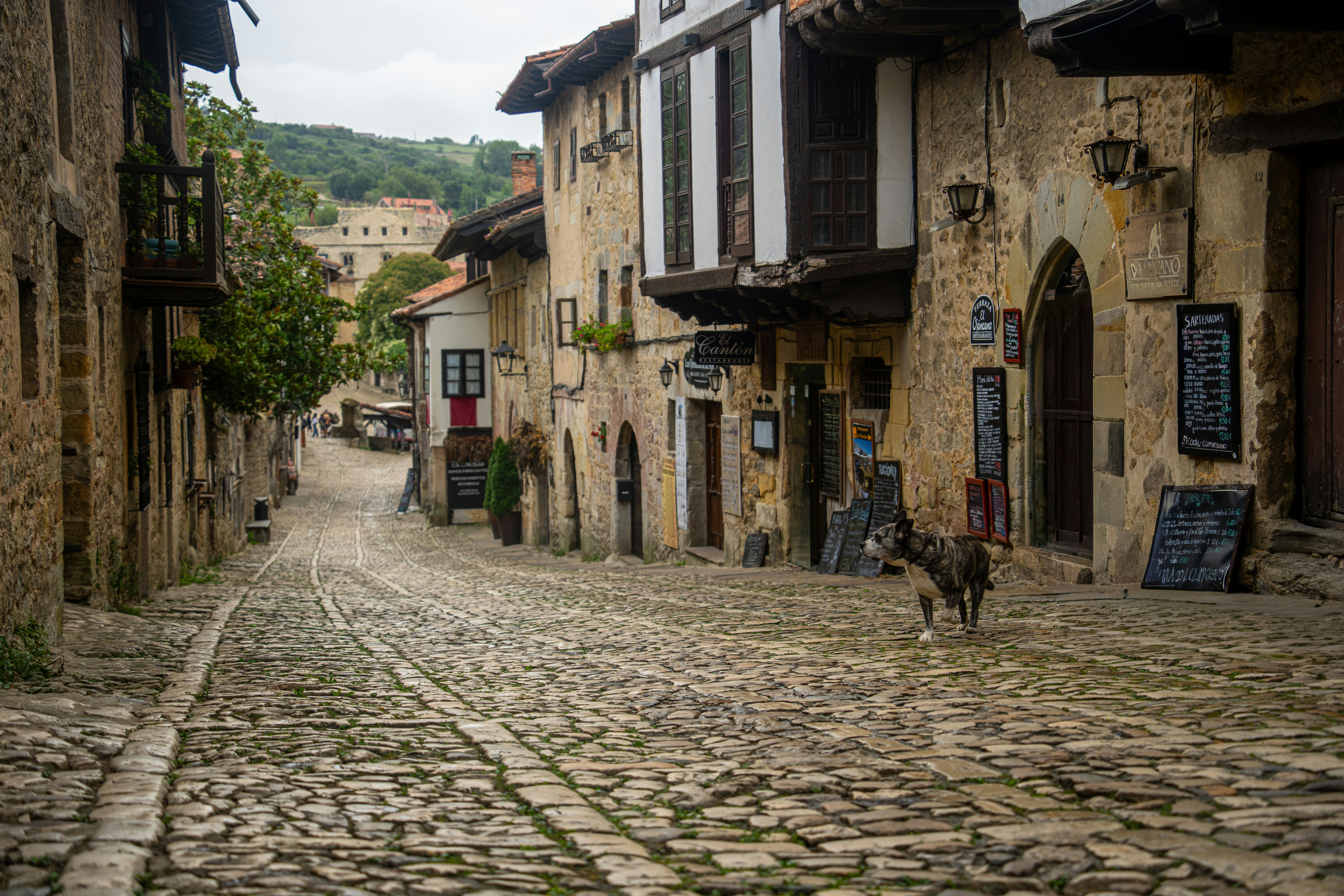 Cobblestone Lane: A Quiet Dog Walk through a Timeless Village