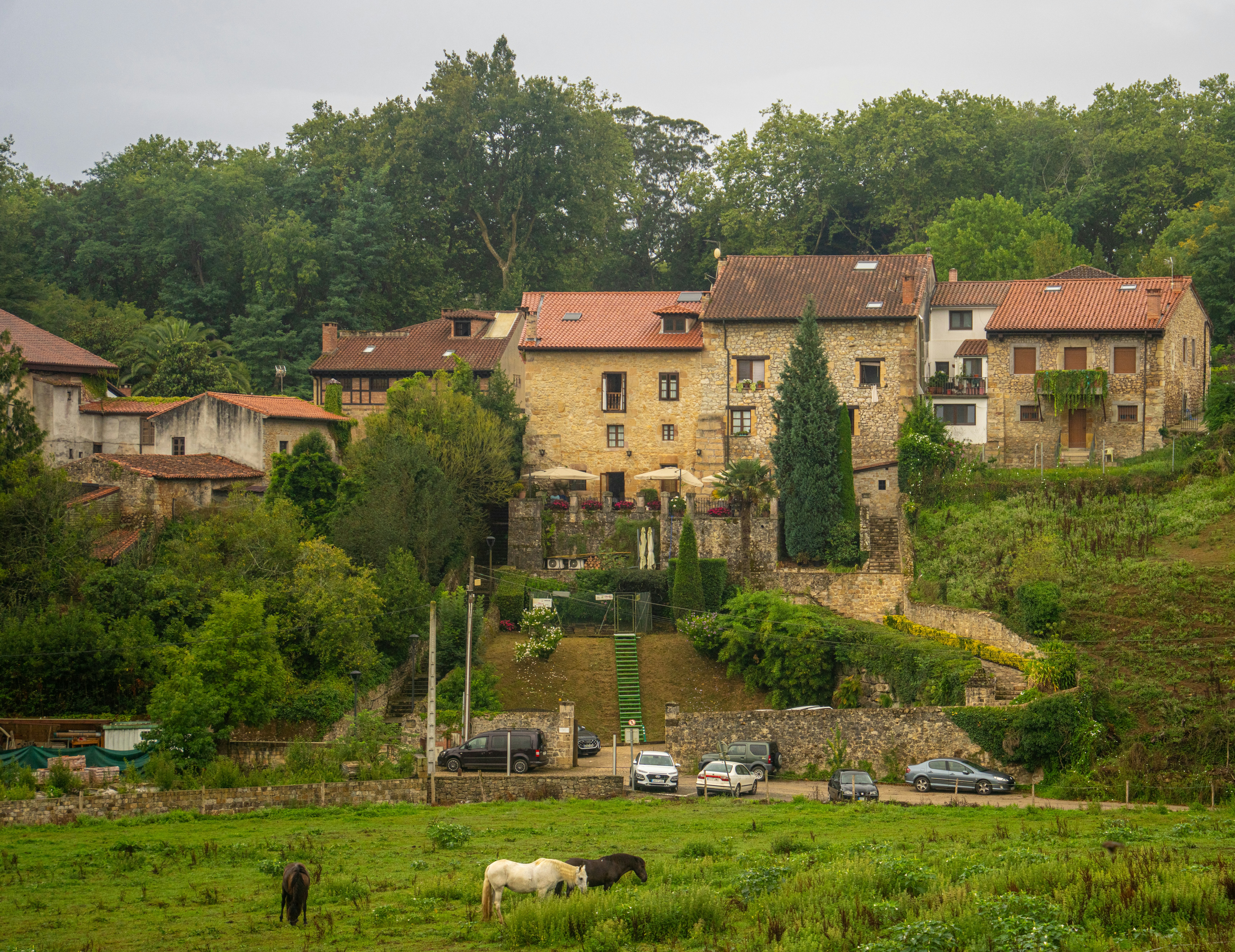 Hilltop Hamlet: Stone Facades and Verdant Slopes