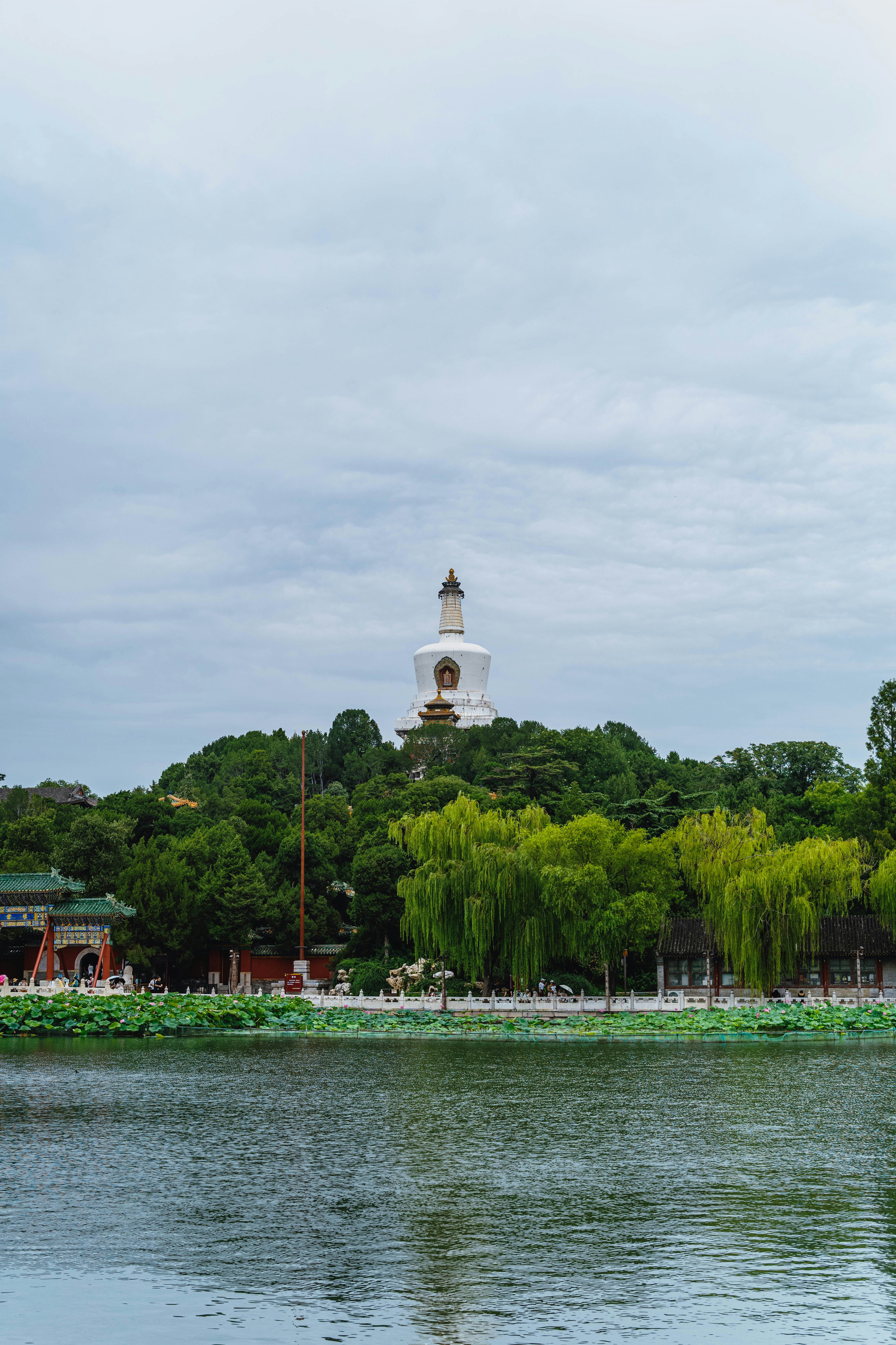 Pagoda Over the Weeping Willows: A Quiet Lake Vista