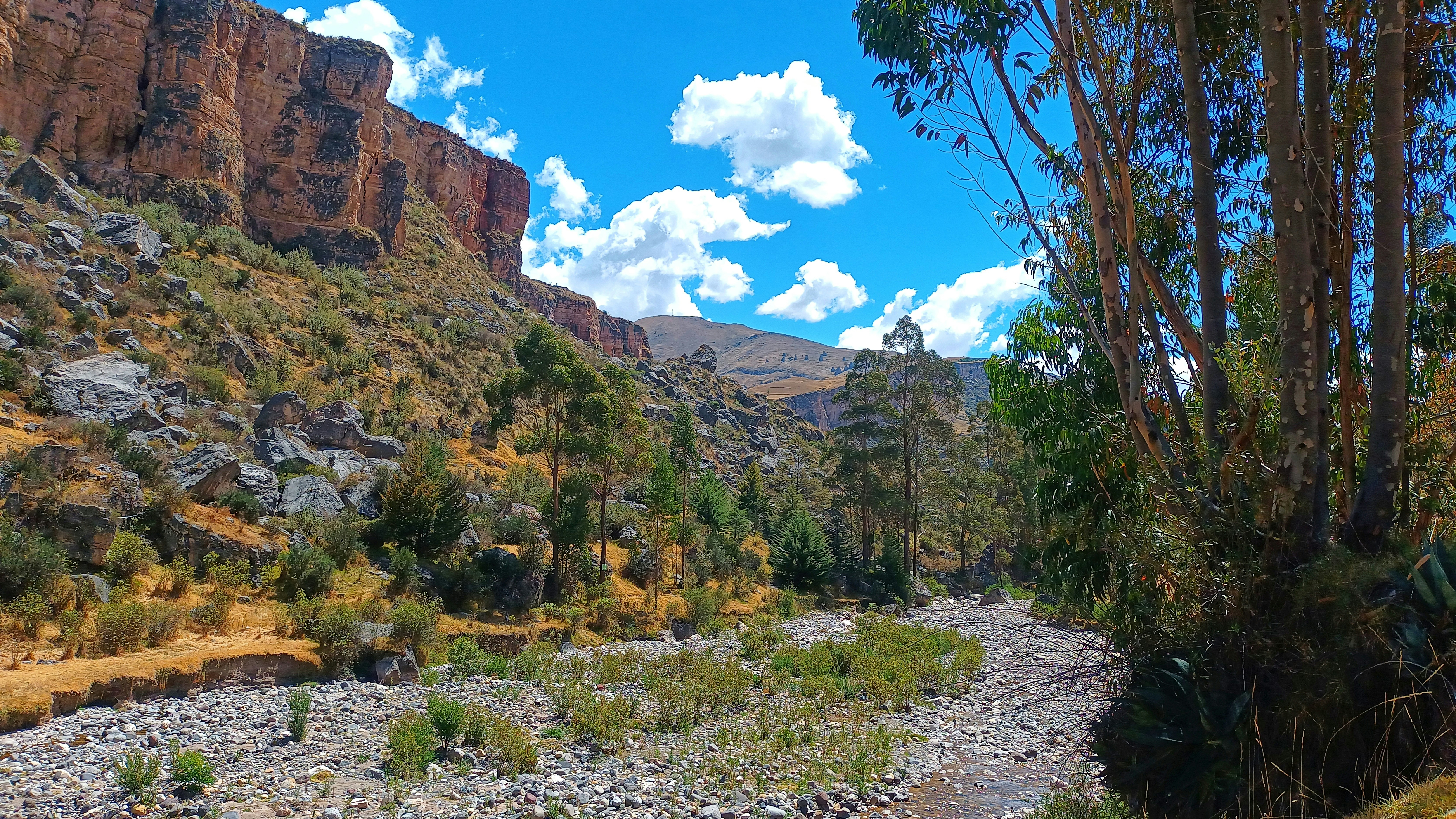 Dry riverbed winds through a rocky canyon with layered cliffs and scattered shrubs under a vibrant blue sky.