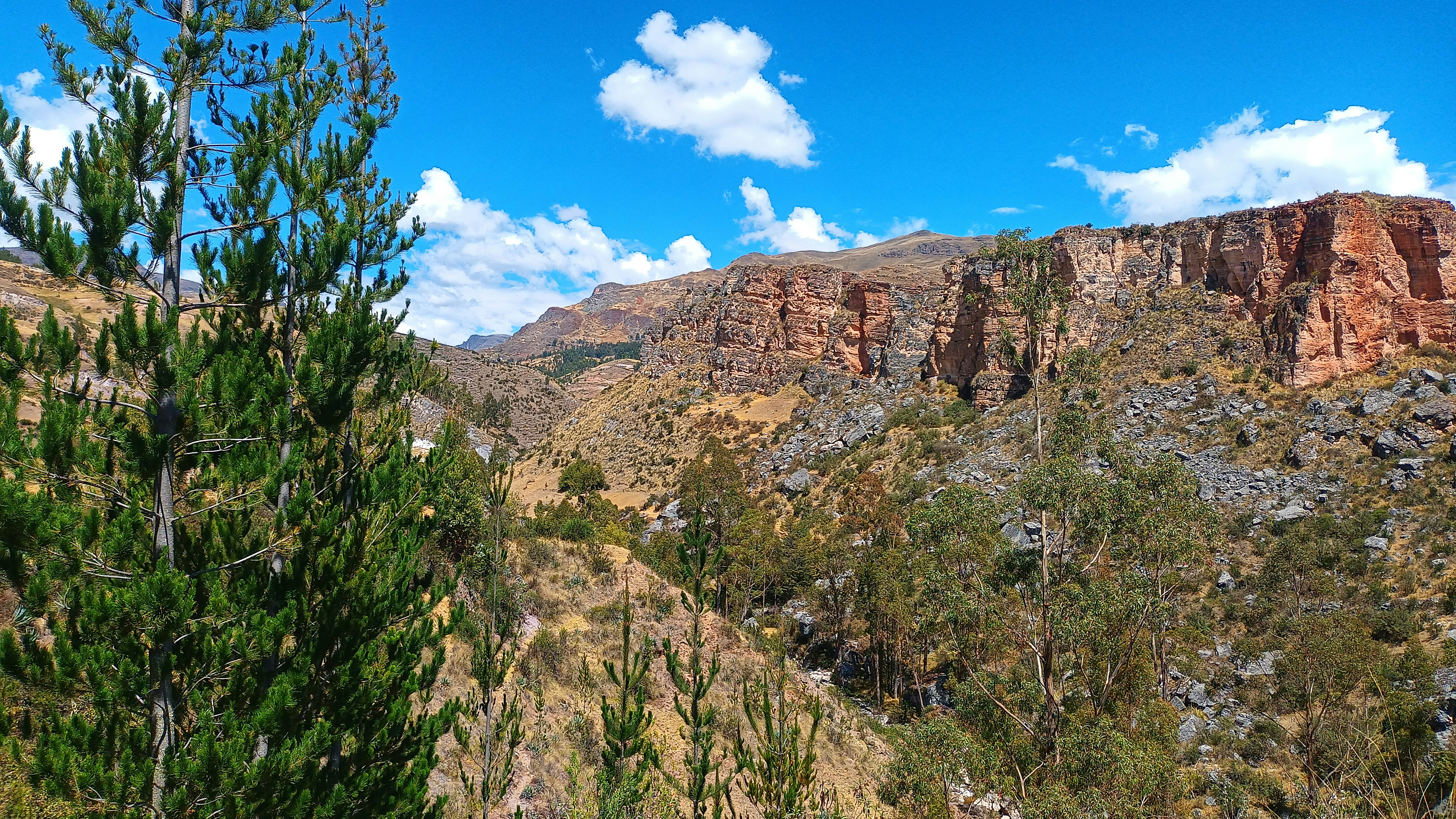 Sunlit canyon ridges with scattered pines and a blue sky; a wide natural landscape (no people) showcasing layered rock formations and grassy foreground. Appears as a panoramic nature scene.