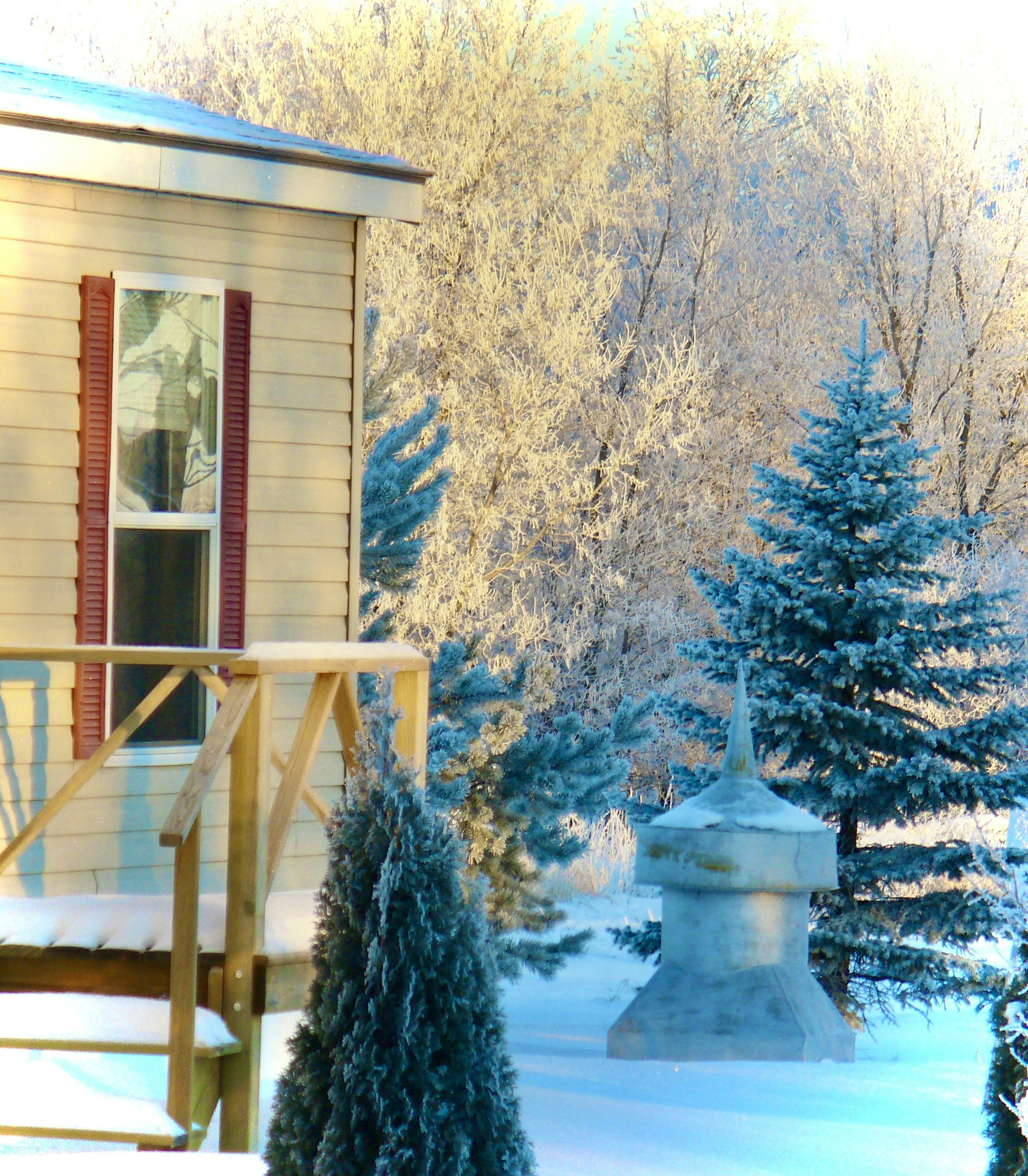 Snowy Porch Edge: Warm Wood Framed by Frosted Pines