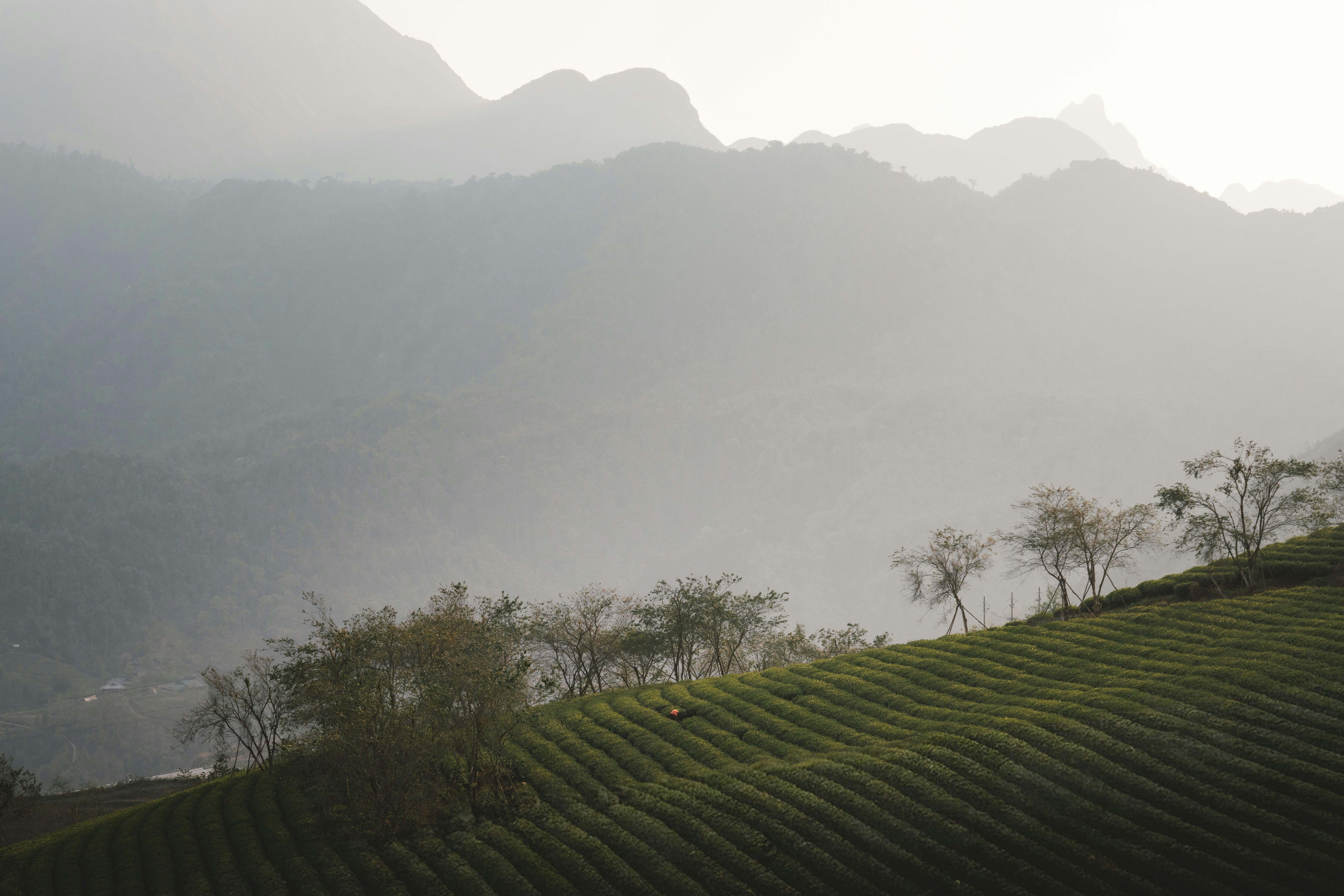 Terraced green valleys under a pale mountain haze at dusk