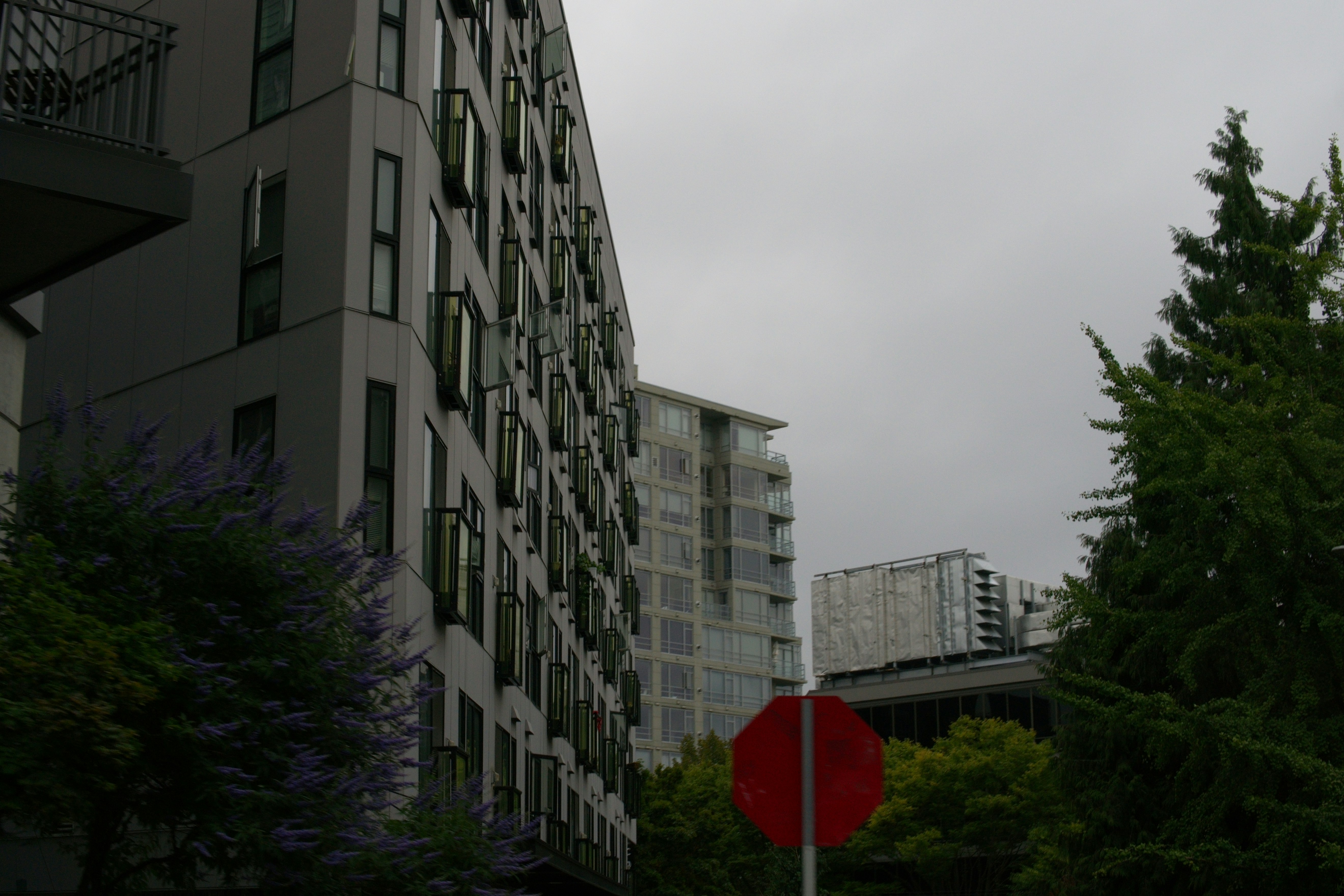 Urban Geometry: A Quiet Street Under Overcast Skies