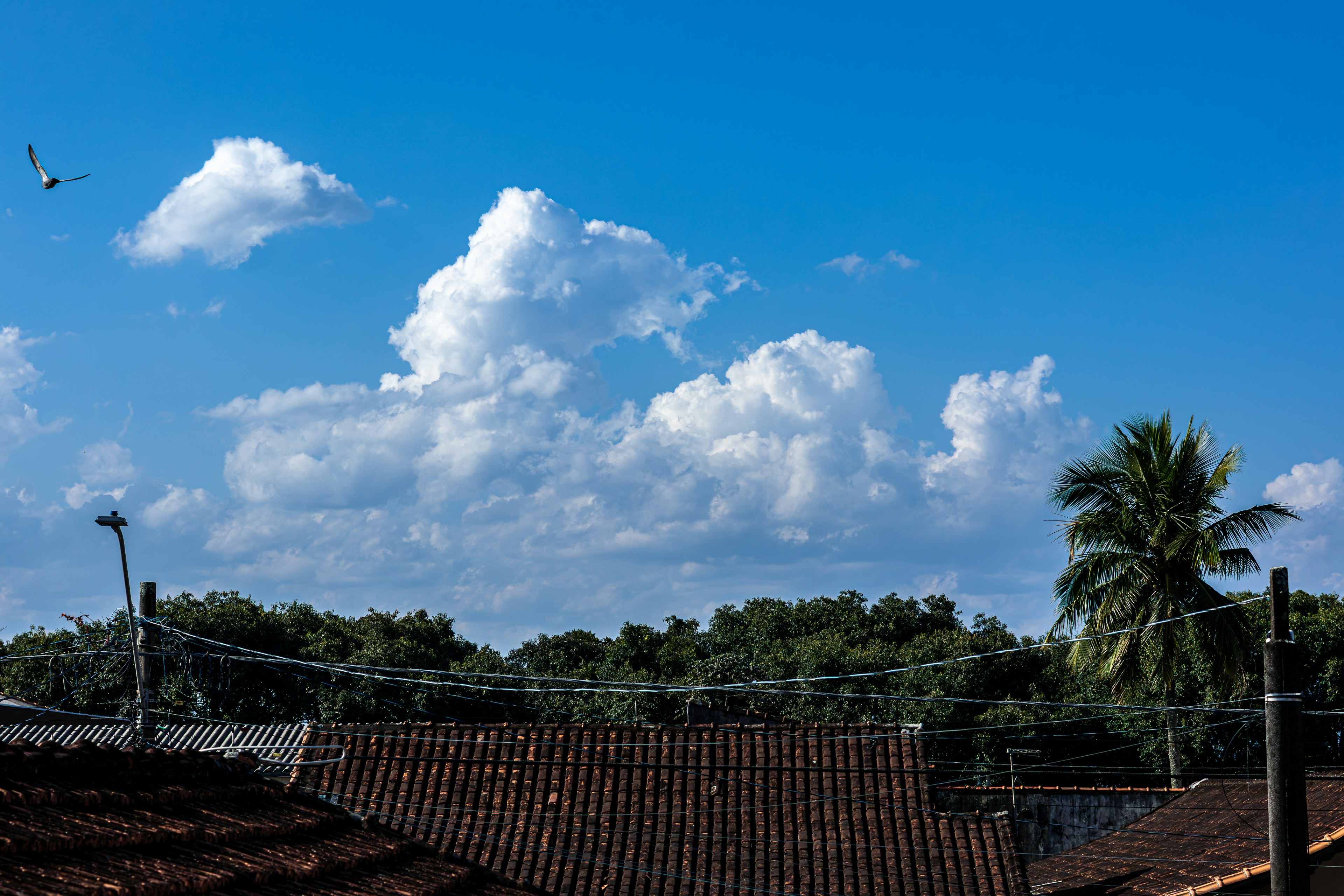 A Quiet Rooftop Horizon Under a Blue Sky