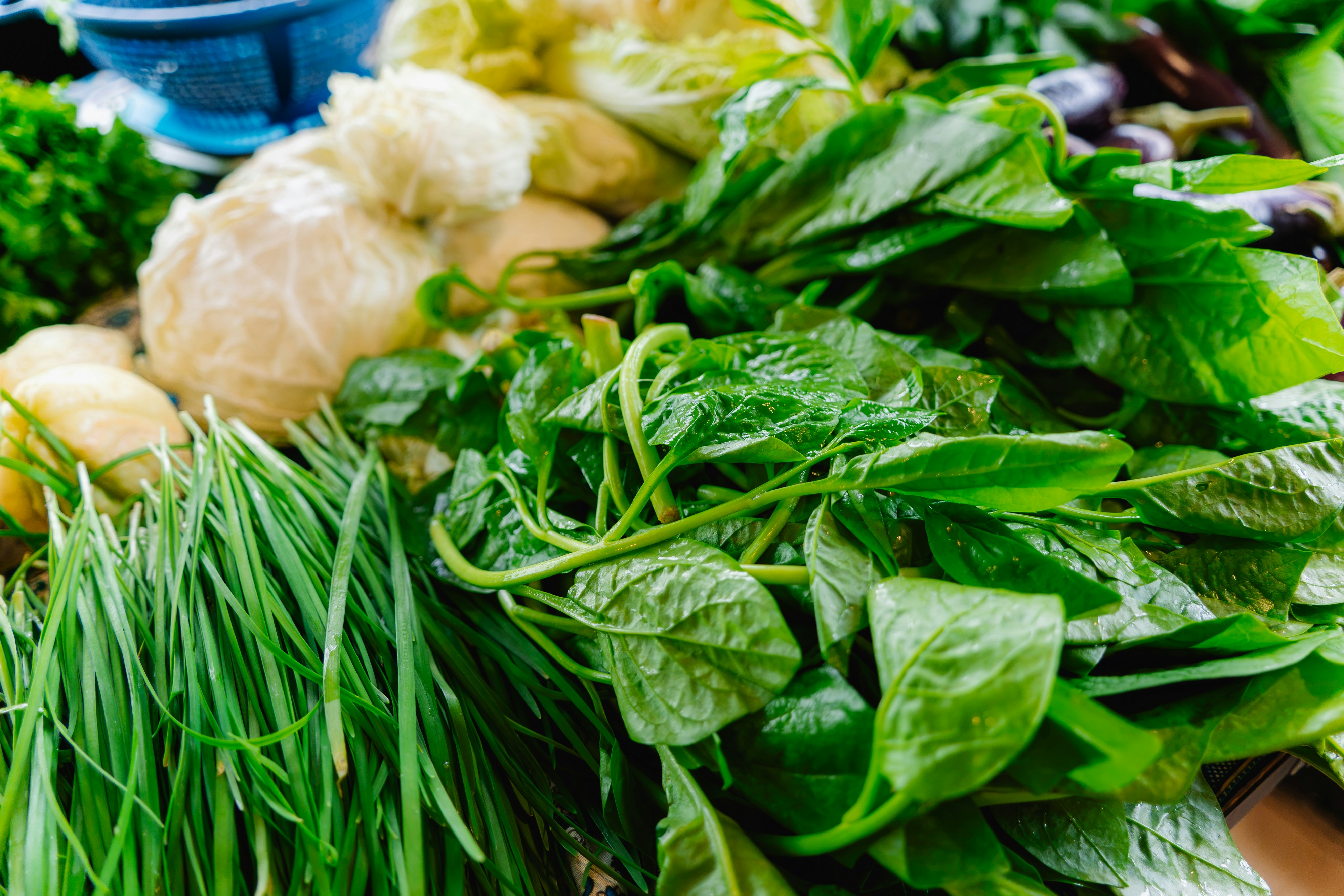 Harvested Greens Palette: Spinach, Chives, and Fresh Herbs