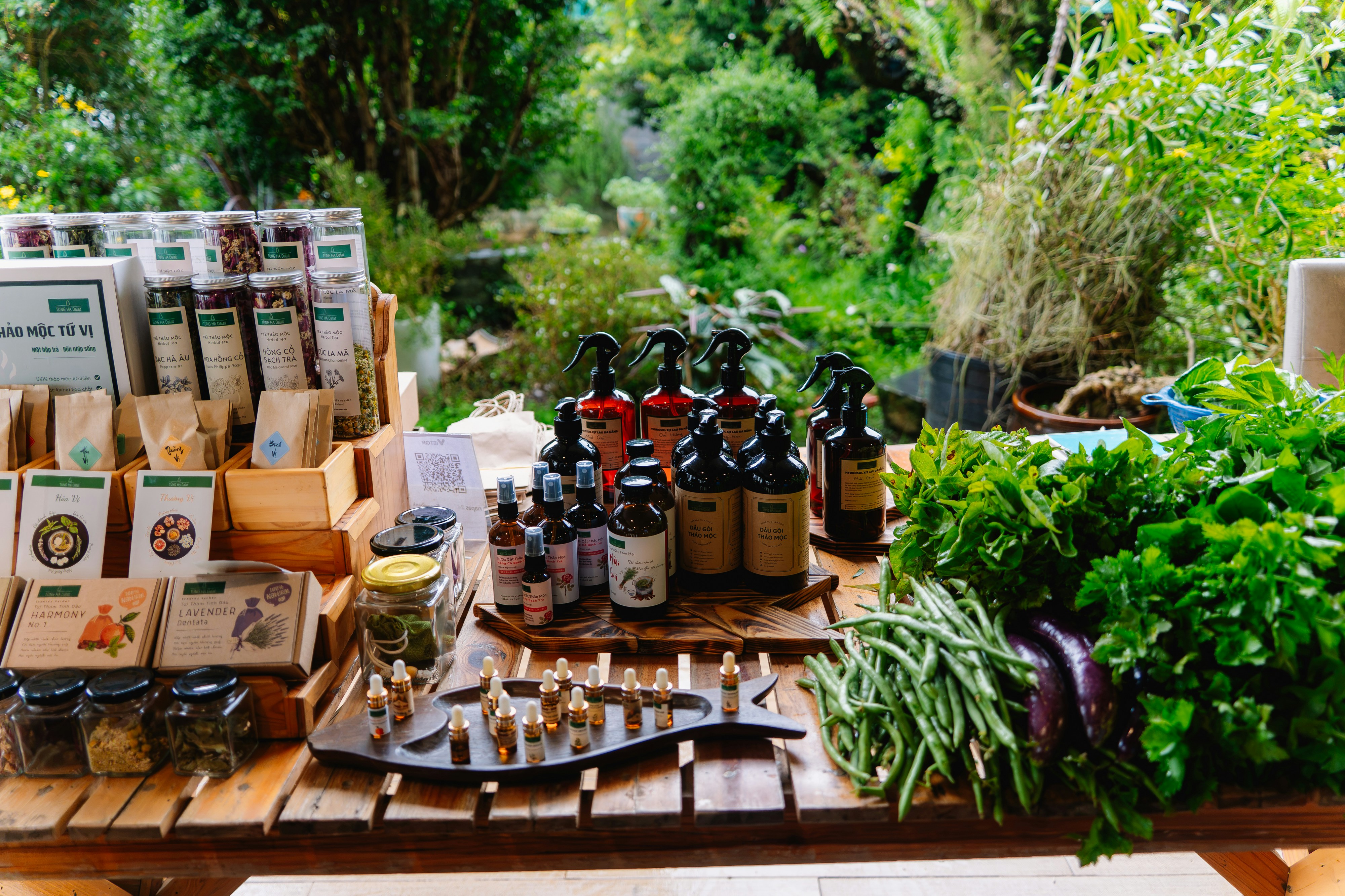 Earthy Apothecary: A Rustic Display of Botanicals and Bottles