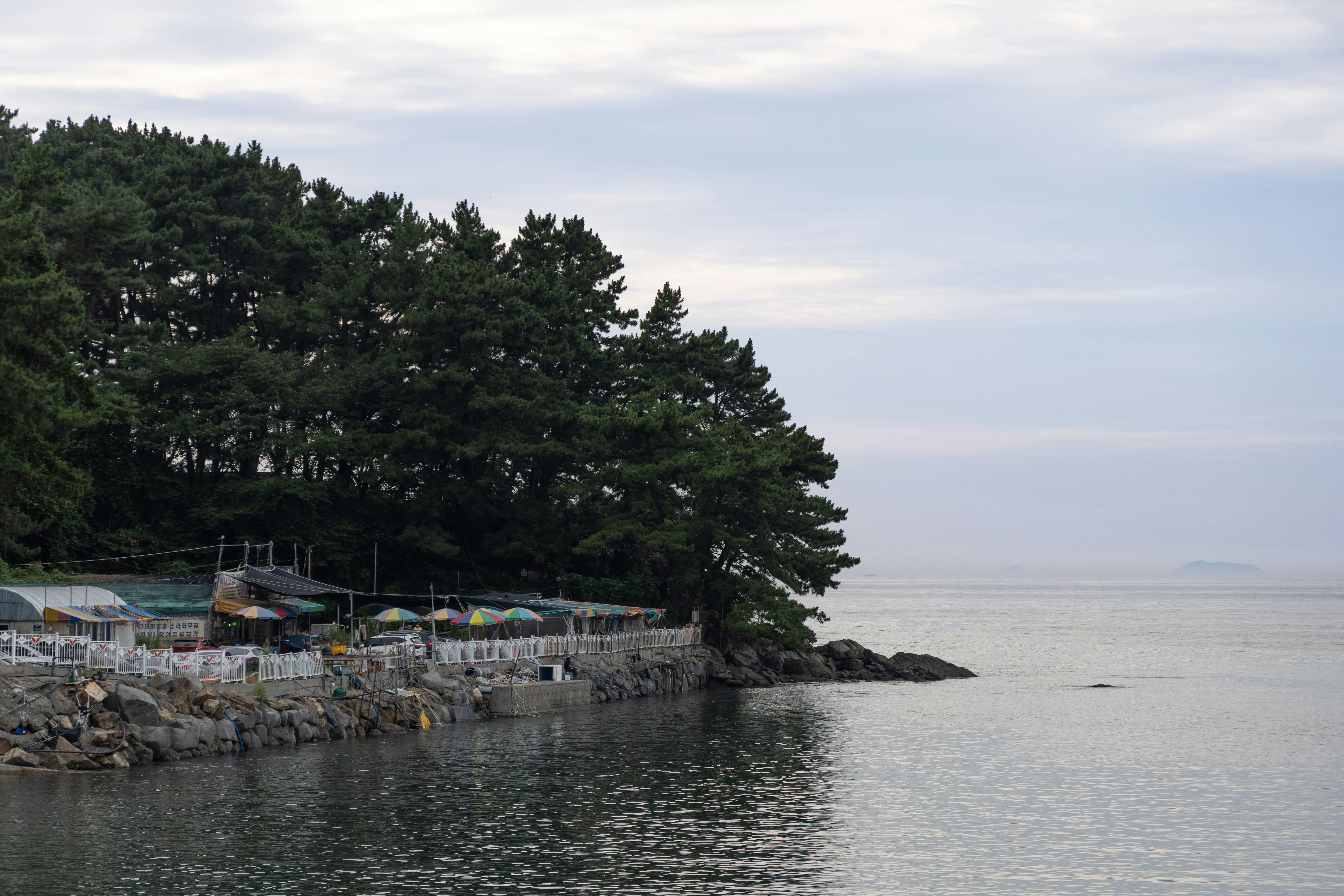 보령 죽도
