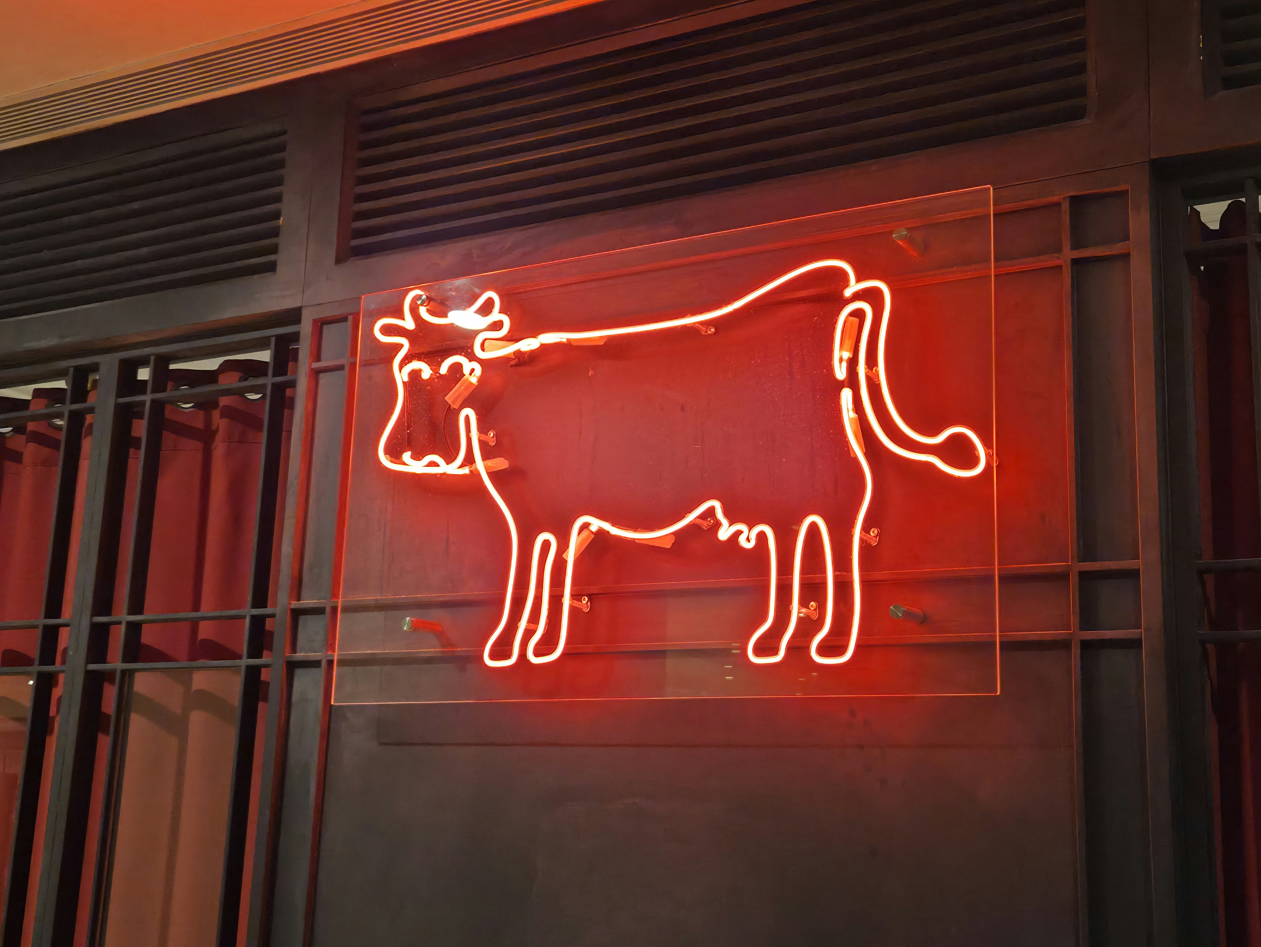 A red neon cow sign mounted on a dark wall behind a glass panel, framed by metal bars; the glow concentrates the subject in the center of a contemporary storefront scene.